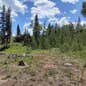 Homestake Road Dispersed - CO Camping | Red Cliff, CO