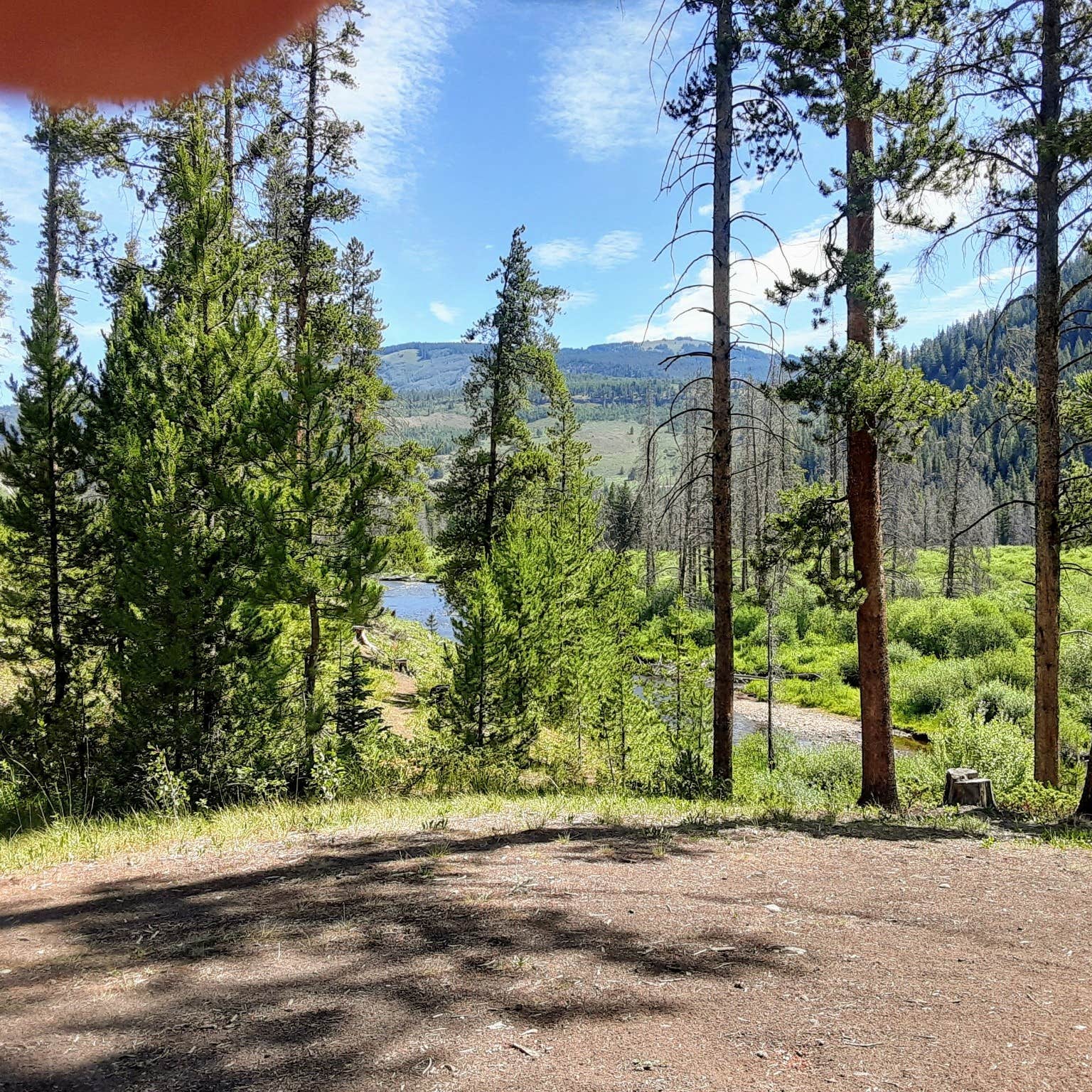 Homestake Road Dispersed - CO Camping | Red Cliff, Colorado