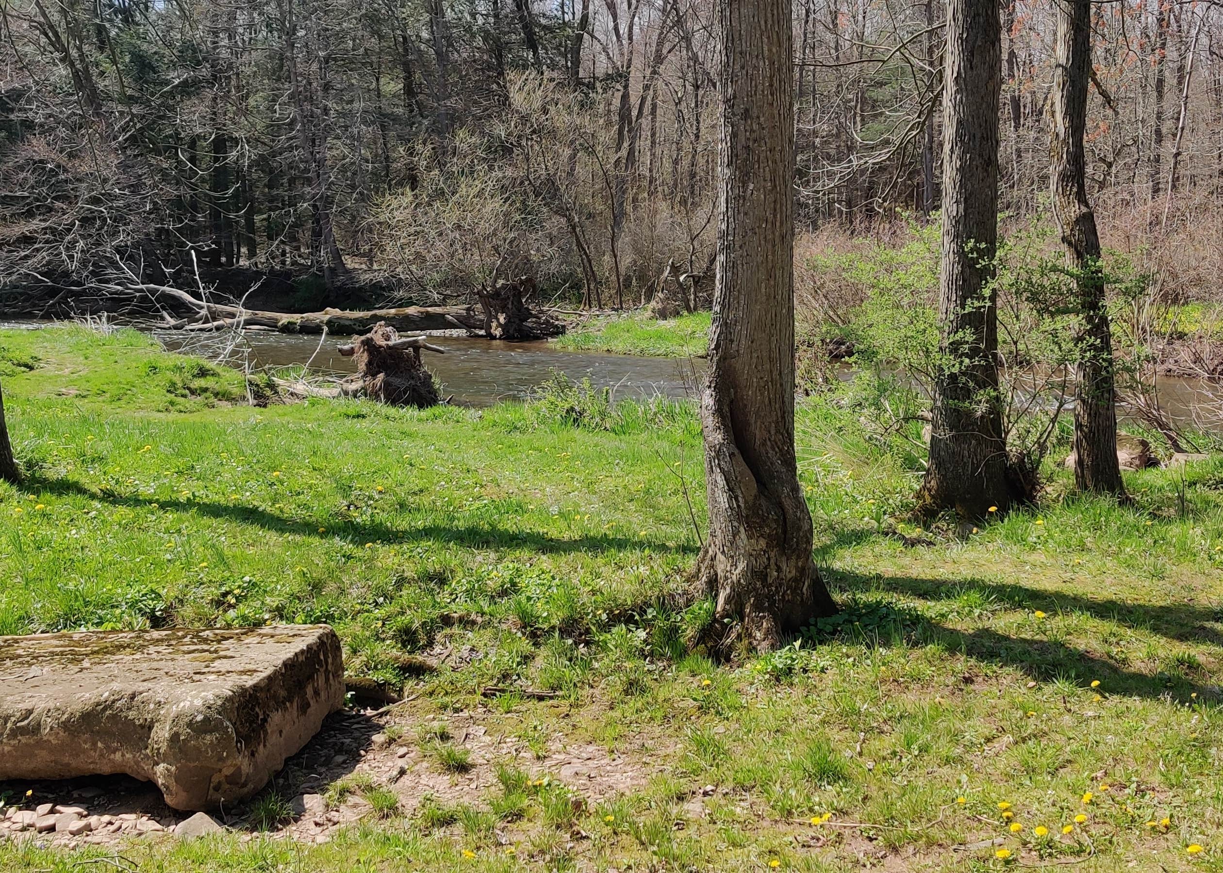 Lizard Creek Campground Camping | The Dyrt