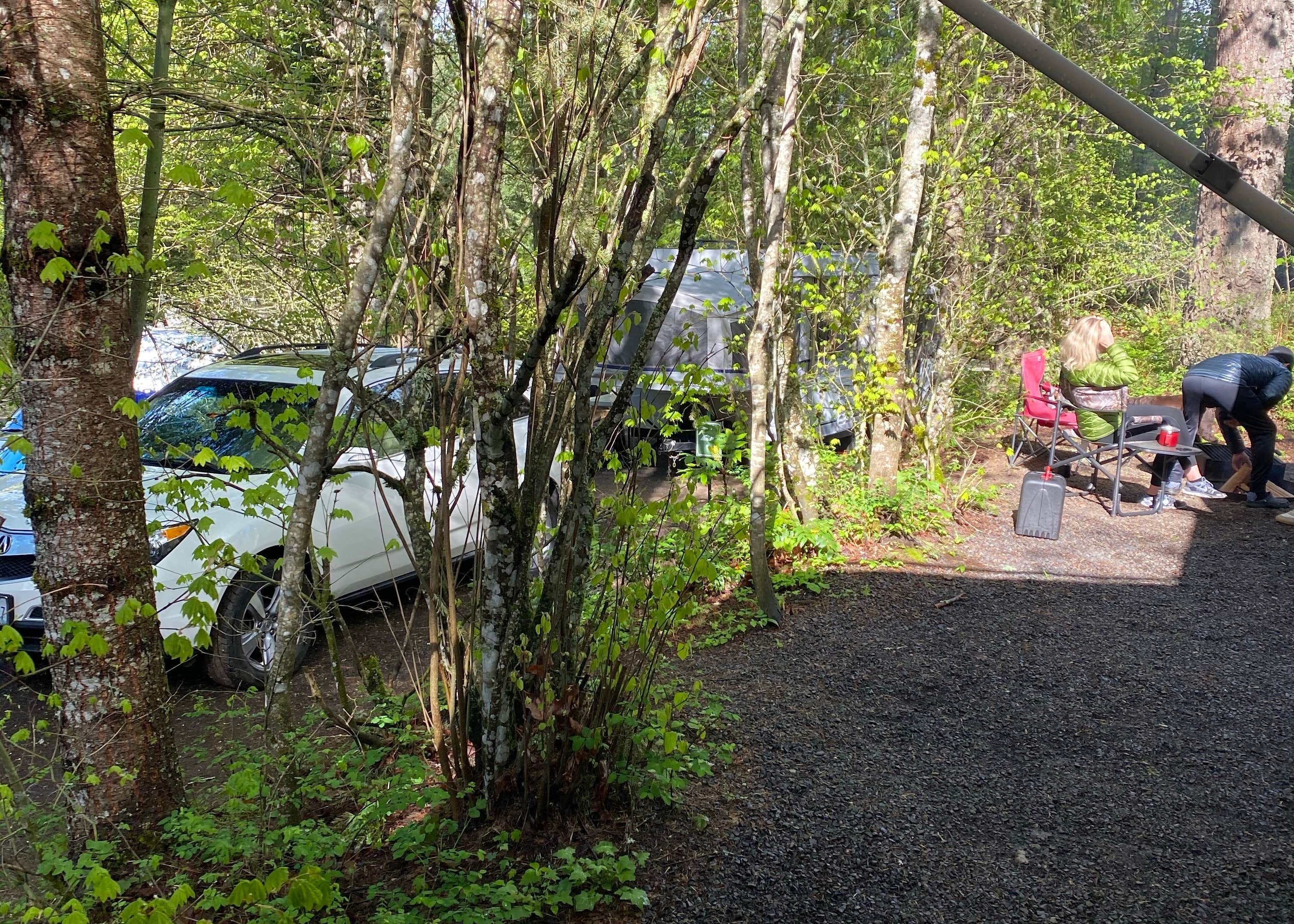 Timberland RV Park Camping | The Dyrt