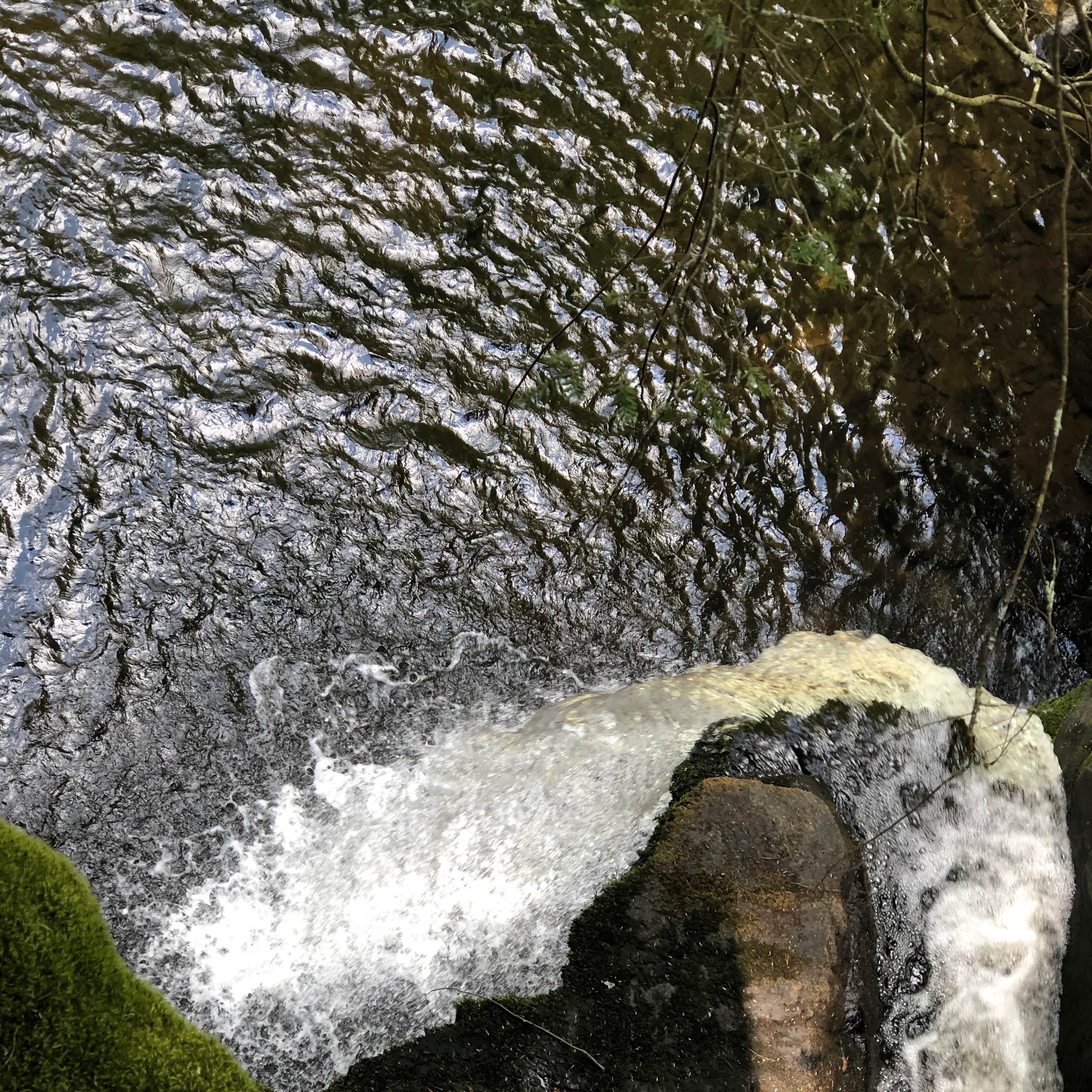 Savage Falls Campground — Savage Gulf State Park | Palmer, Tennessee