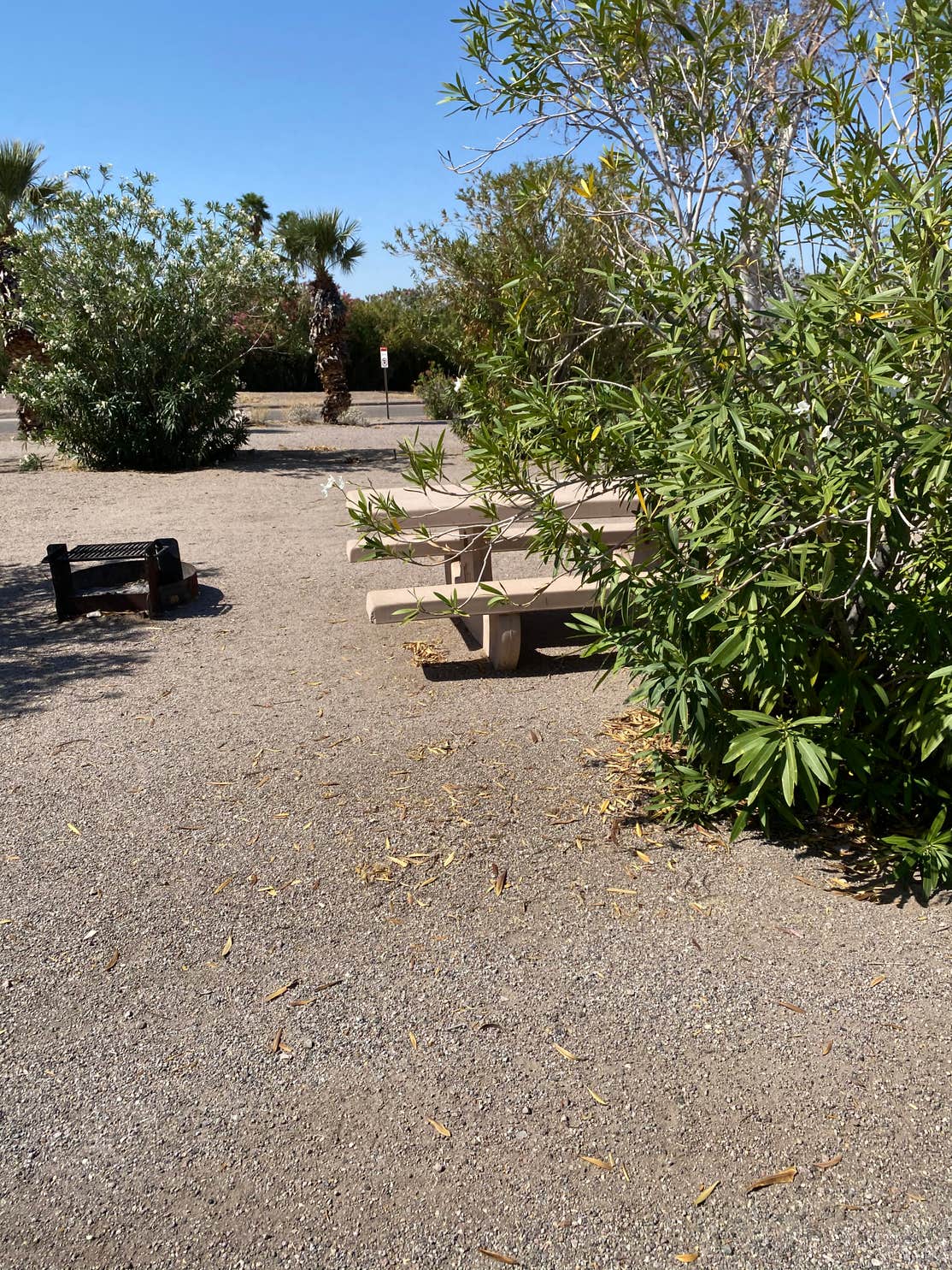 Katherines Landing Campground - Lake Mead National Rec Area Camping ...