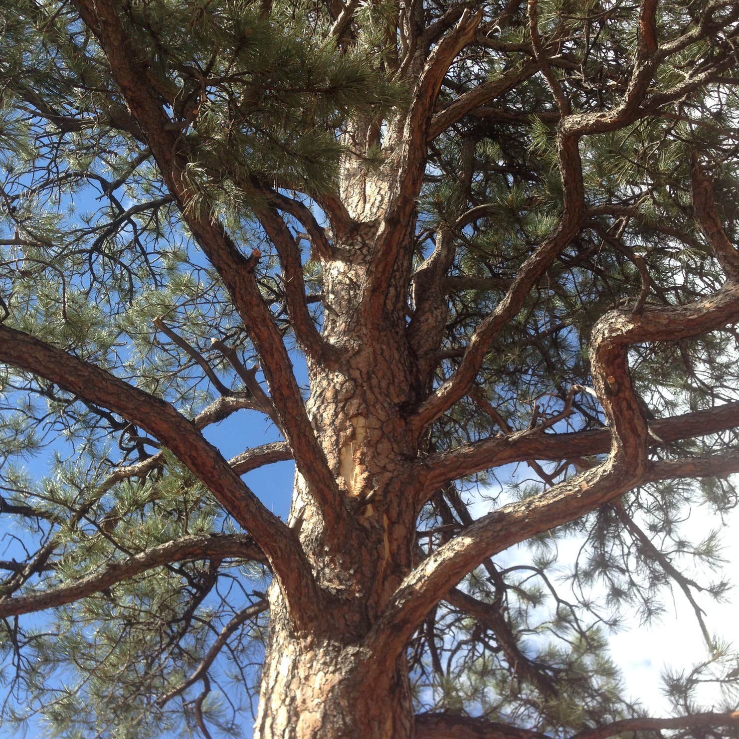 Wind Creek Campground — Keyhole State Park | Moorcroft, Wyoming