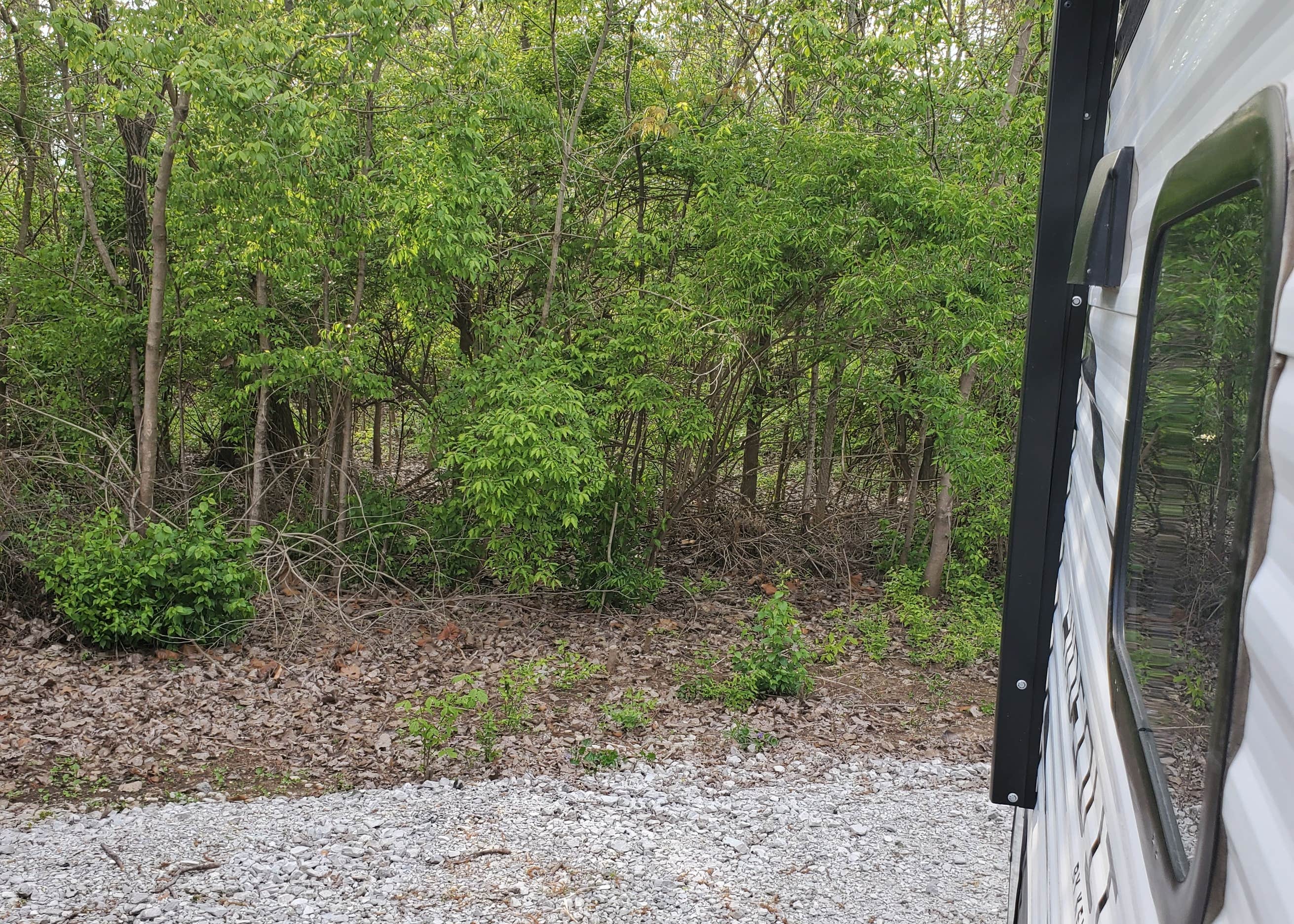 Indy Lakes Campground Camping | The Dyrt