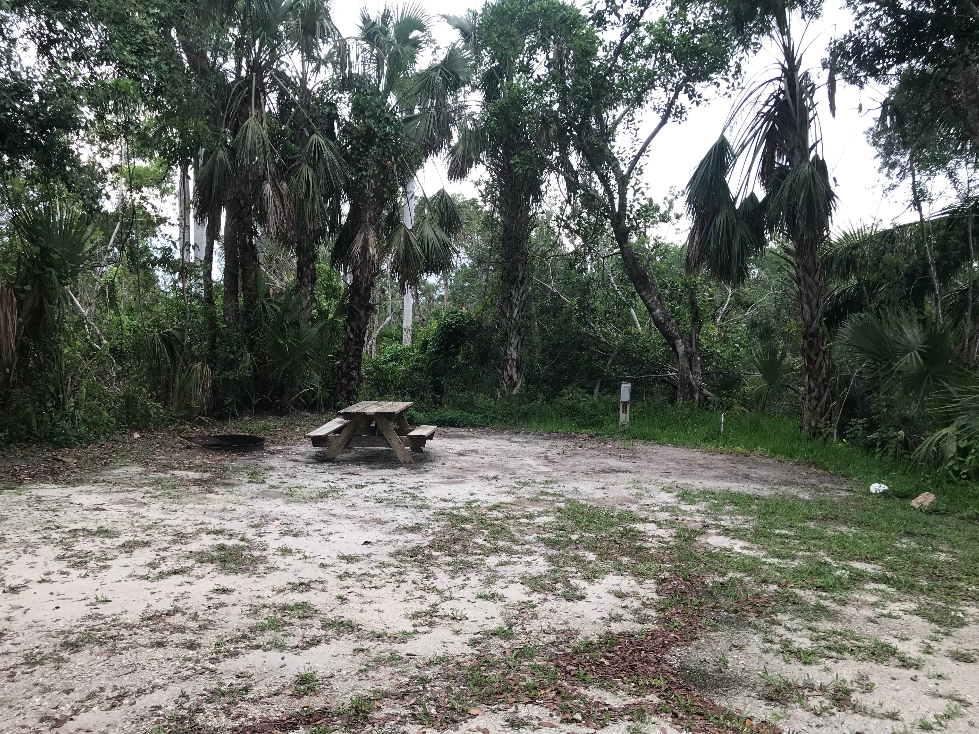 Collier–Seminole State Park Campground | Naples, FL