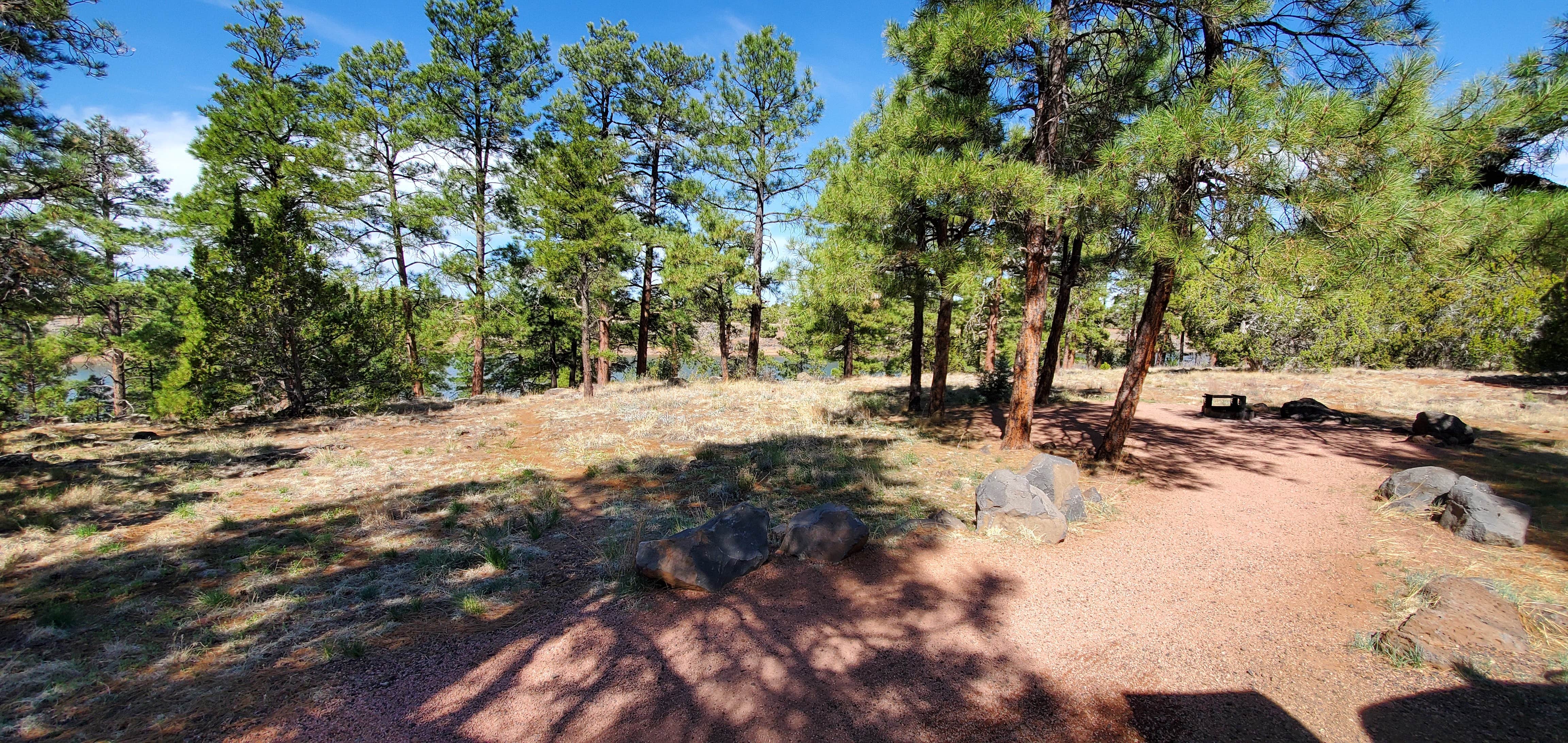 Best dispersed camping near Greer, Arizona | The Dyrt