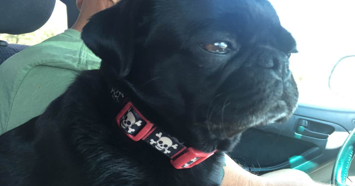 Blue Ridge Campground | Happy Jack, Arizona