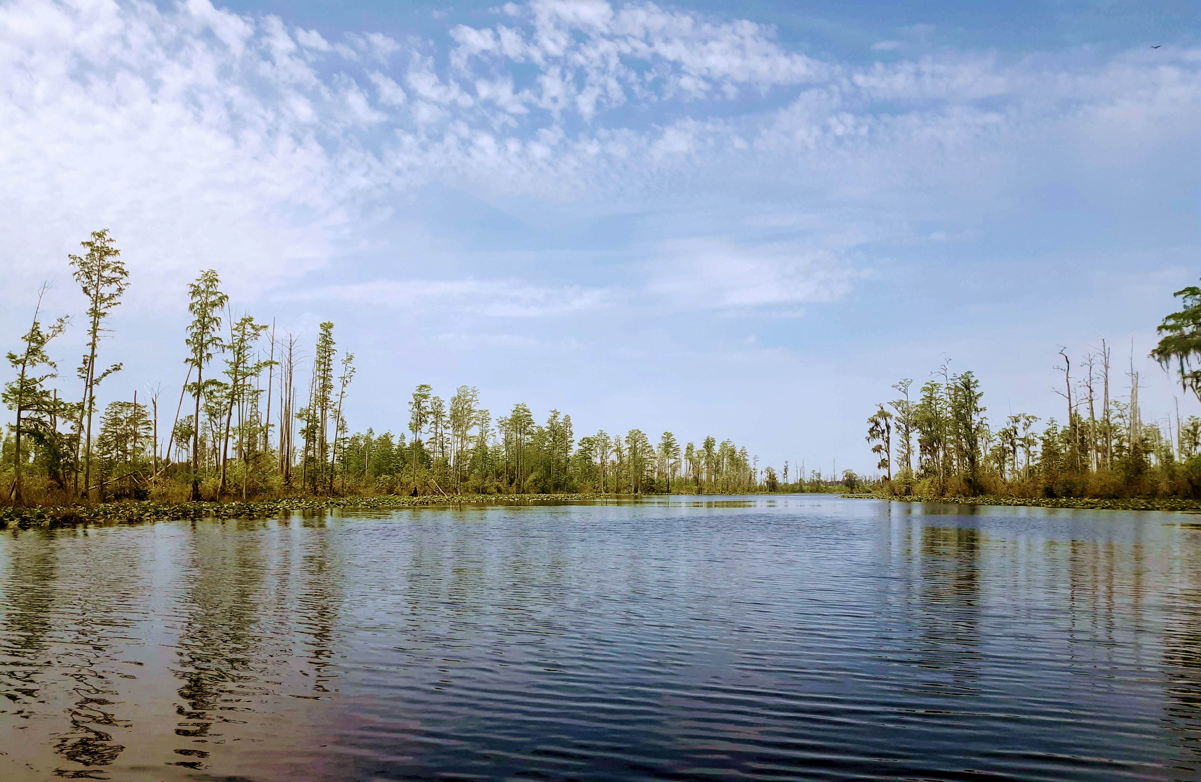 Stephen C. Foster | The Dyrt