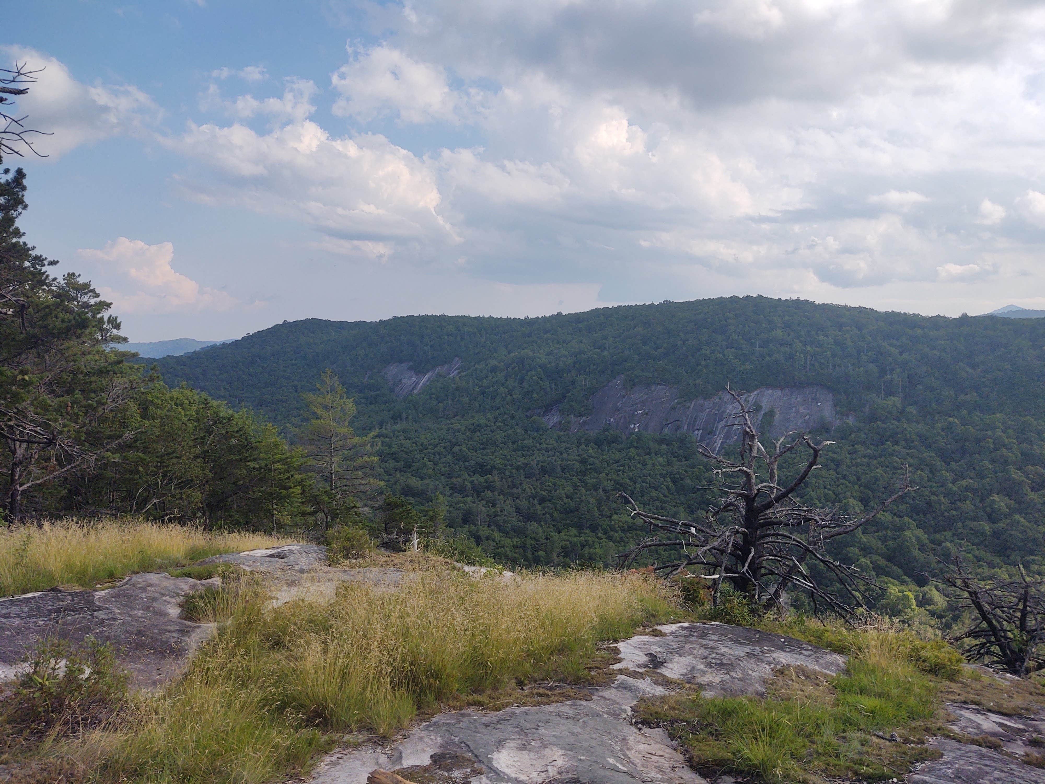 Panthertown Valley Backcountry Area | The Dyrt