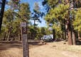 Freidlein Prairie Dispersed Camping Camping | The Dyrt