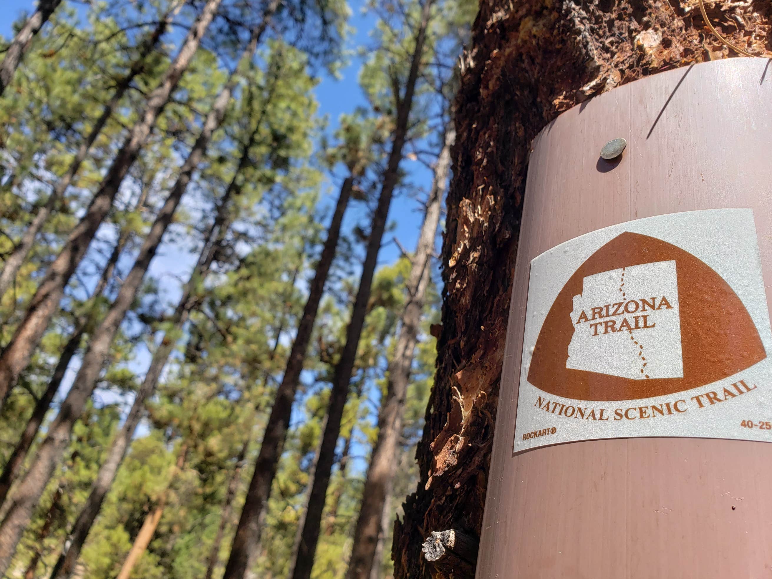 Freidlein Prairie Dispersed Camping | The Dyrt