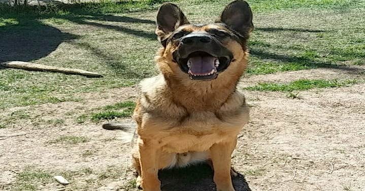 Upper Toston Dam Campground and Boat Launch | Toston, MT