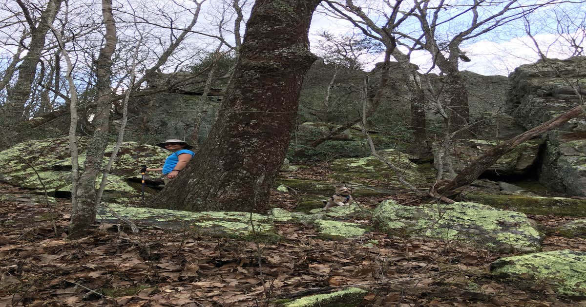 Skyway Loop Campgrounds near Southern Trailhead | Munford, Alabama