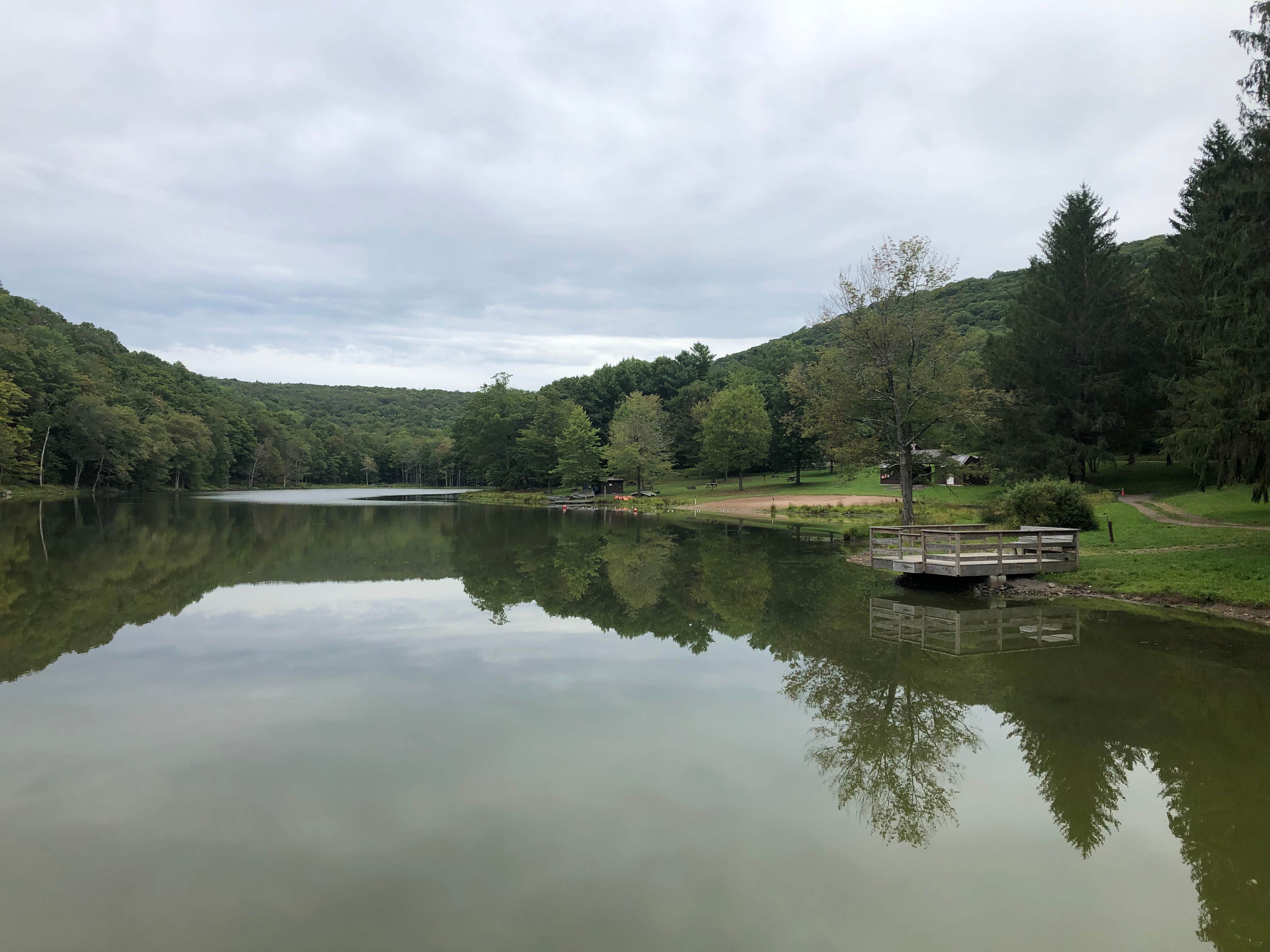 Bear Spring Mountain - DEC Camping | Downsville, NY