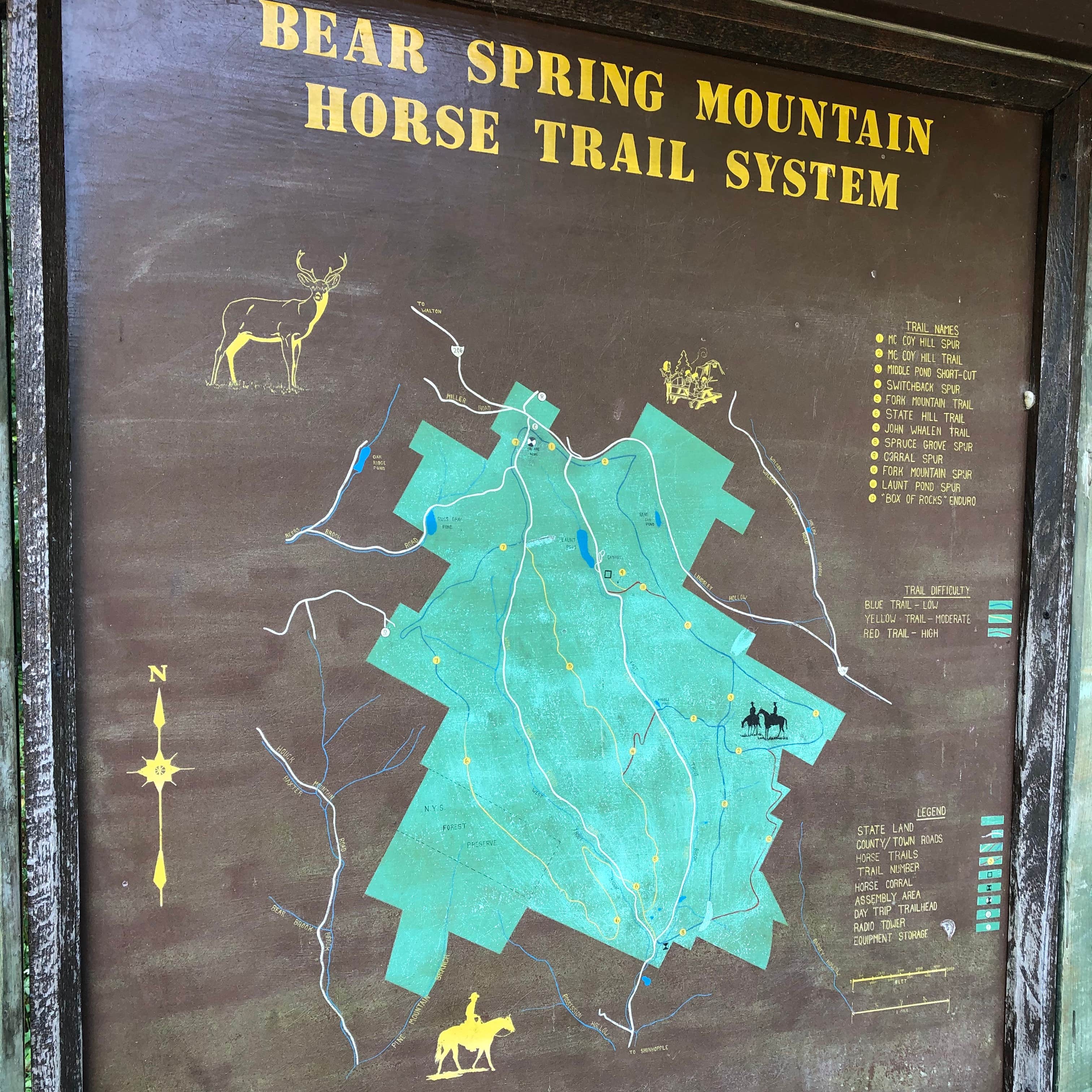 Bear Spring Mountain - DEC Camping | The Dyrt