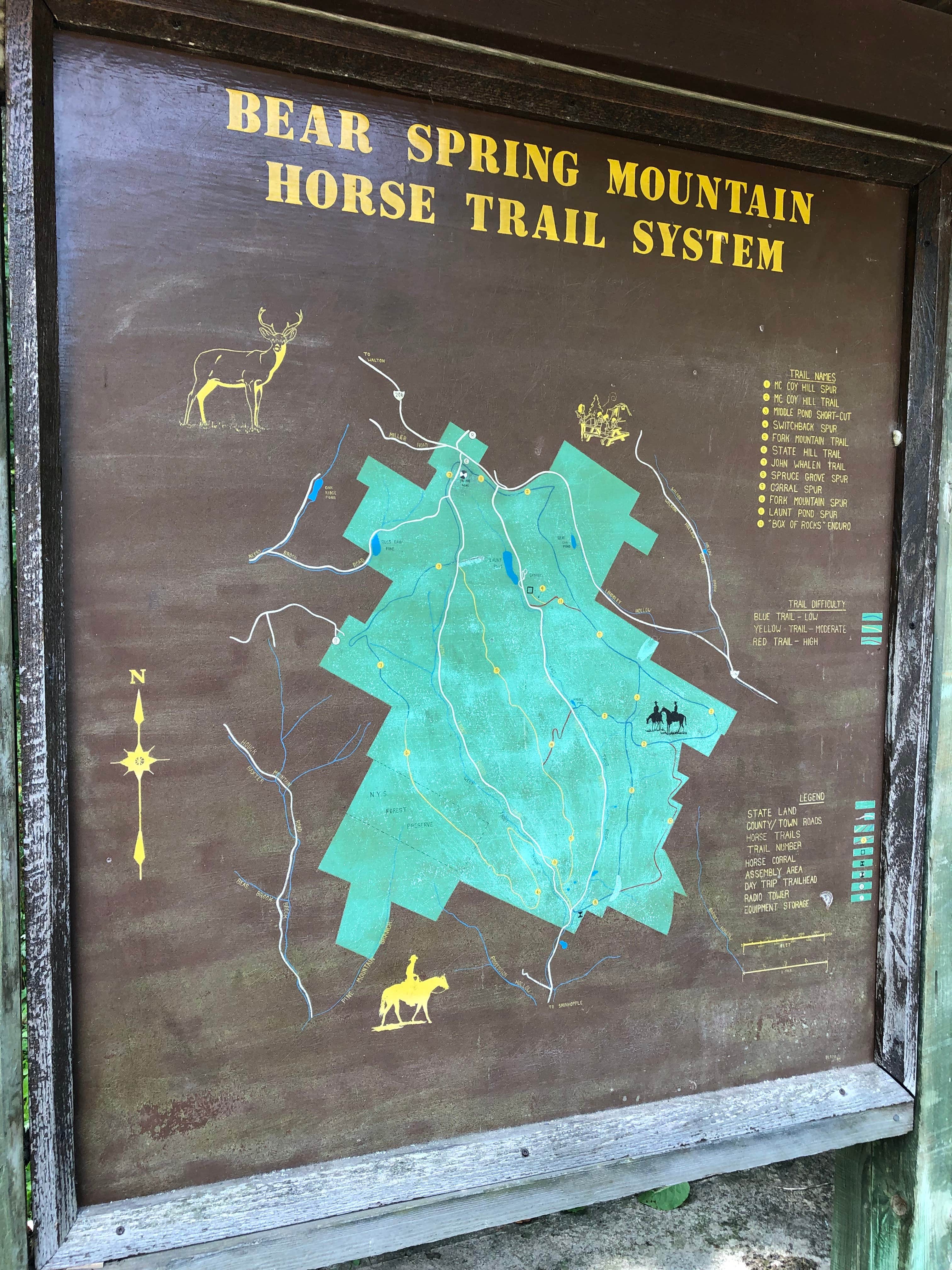 Bear Spring Mountain - DEC Camping | Downsville, NY