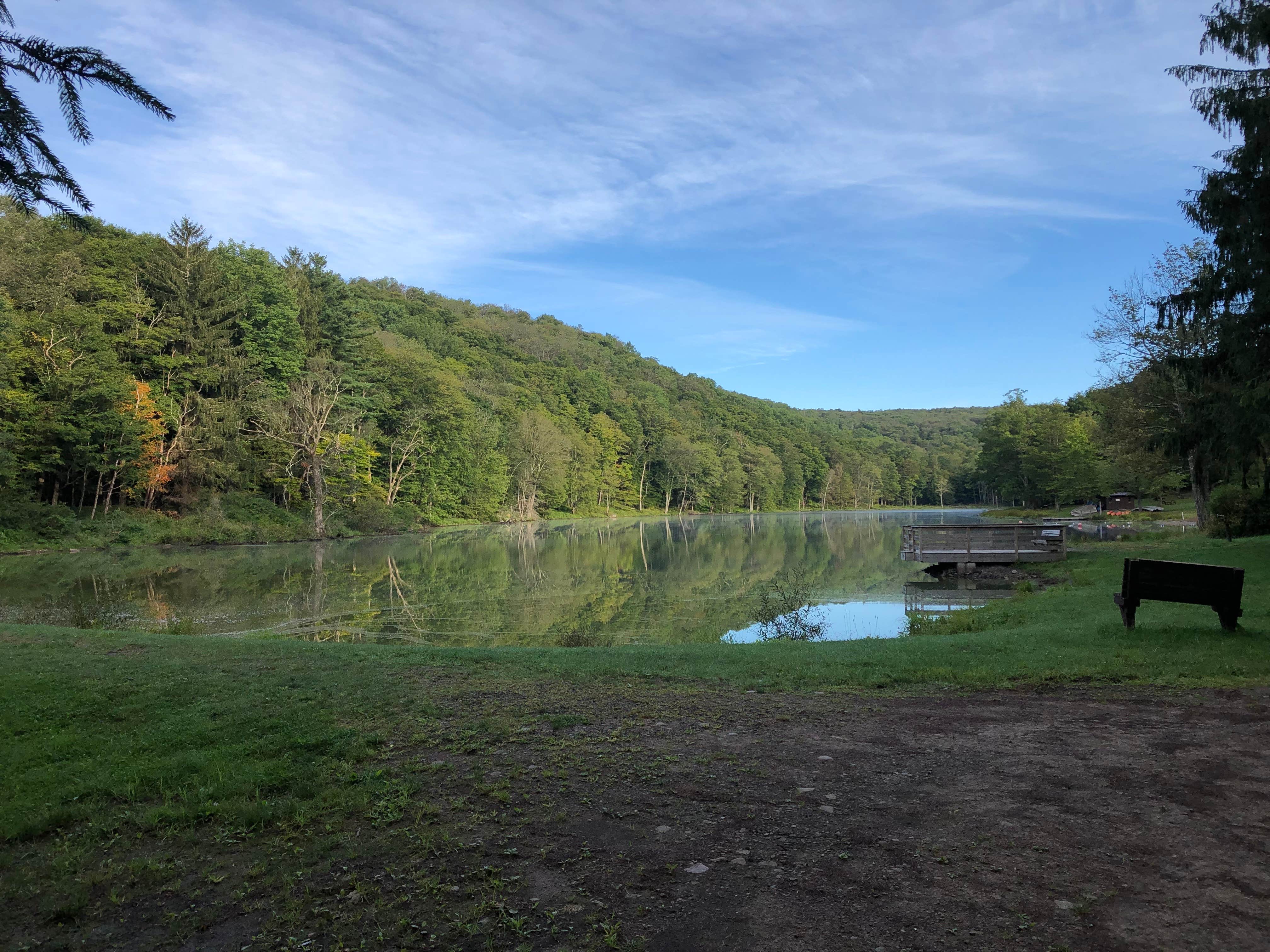 Bear Spring Mountain - DEC Camping | Downsville, NY