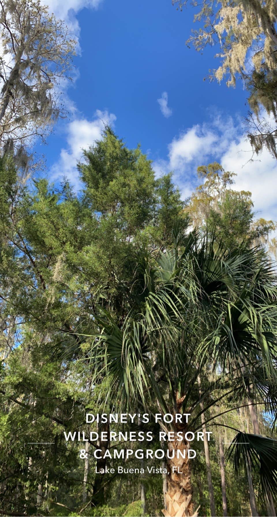 Disney’s Fort Wilderness Resort & Campground | The Dyrt