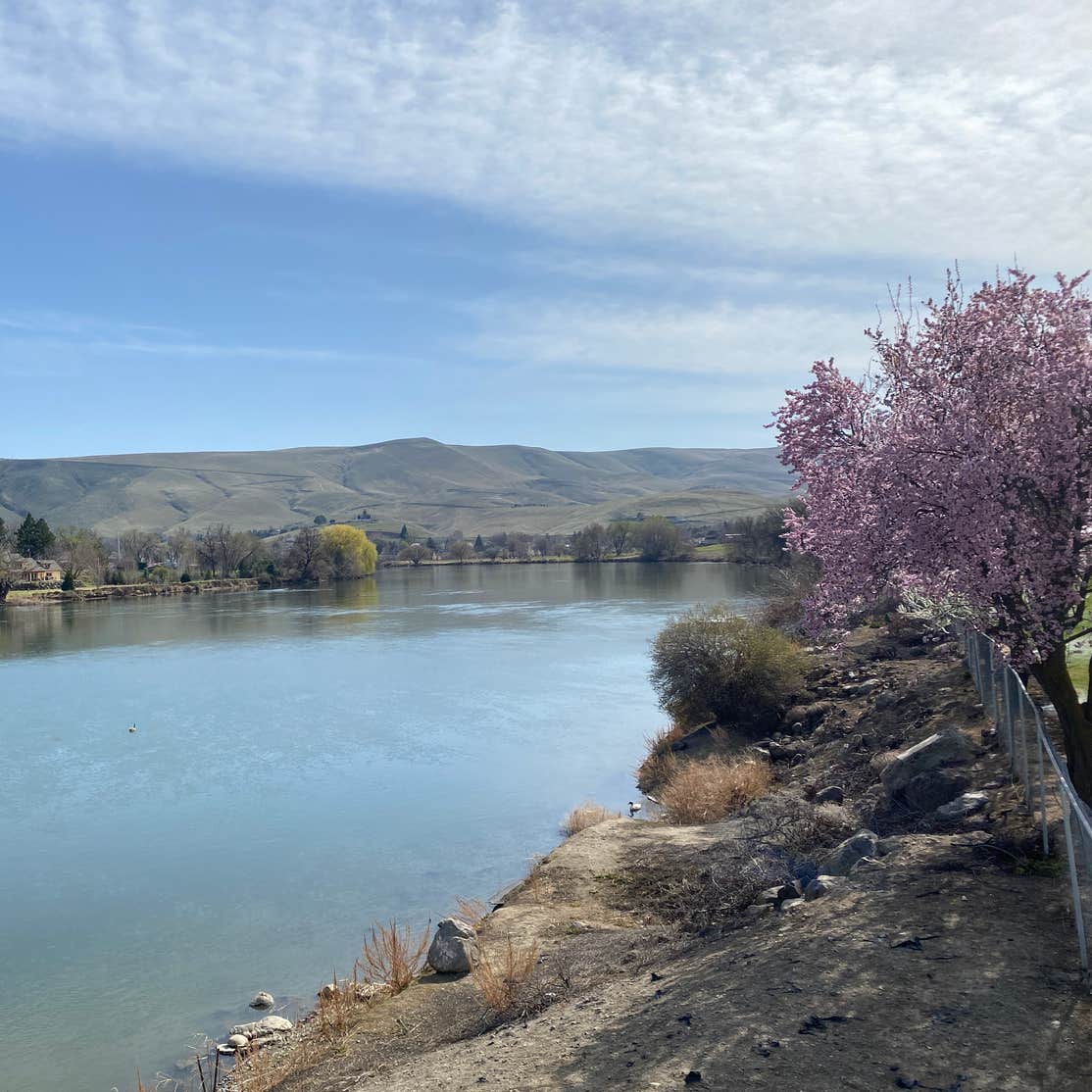 Wine Country RV Park | Prosser, WA
