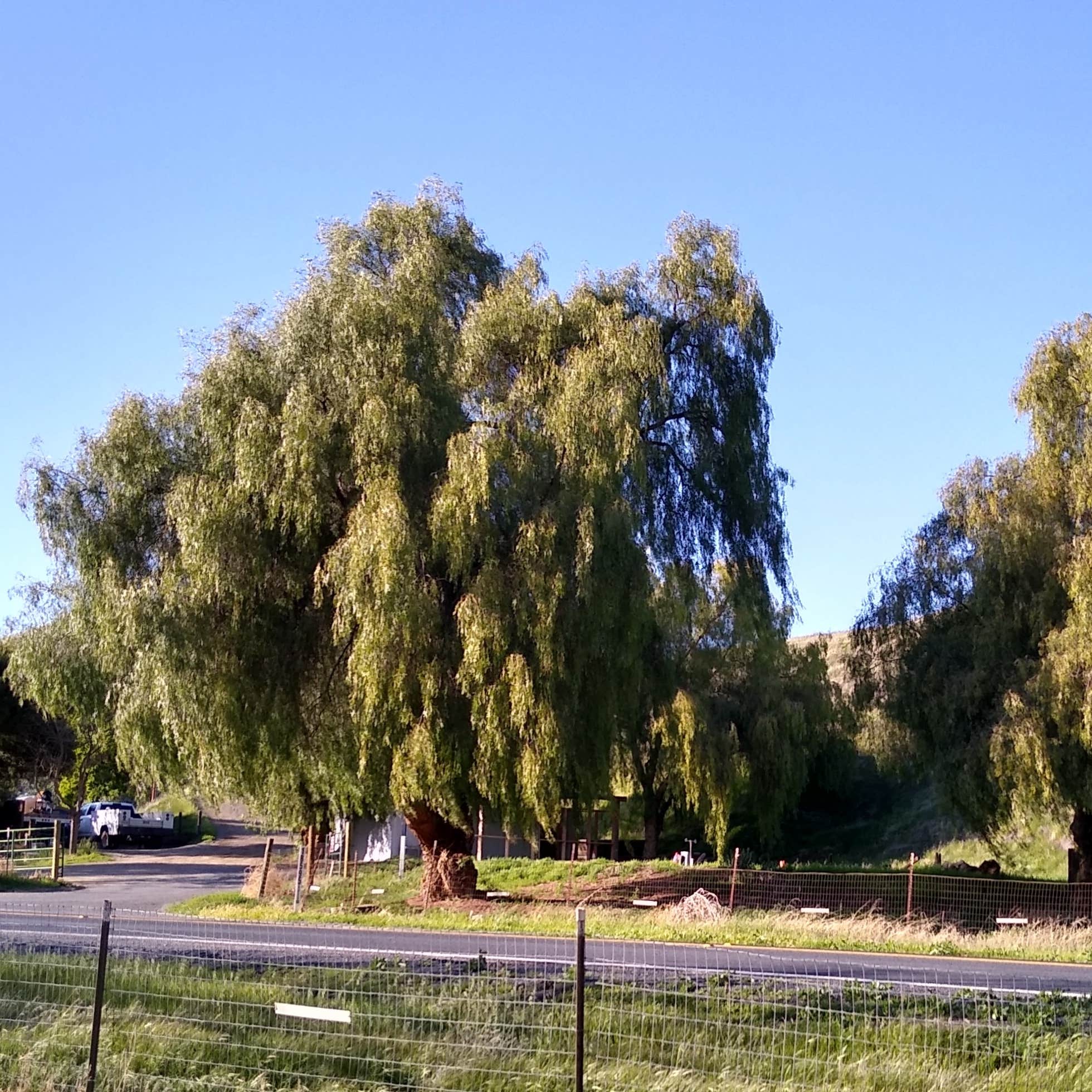 Carnegie State Vehicle Recreation Area Camping | The Dyrt
