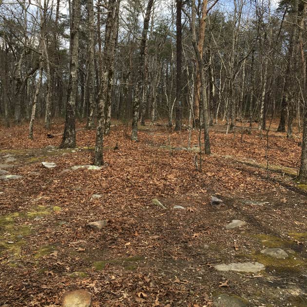 Pinhoti and Skyway Loop Intersection Campground | Lineville, Alabama