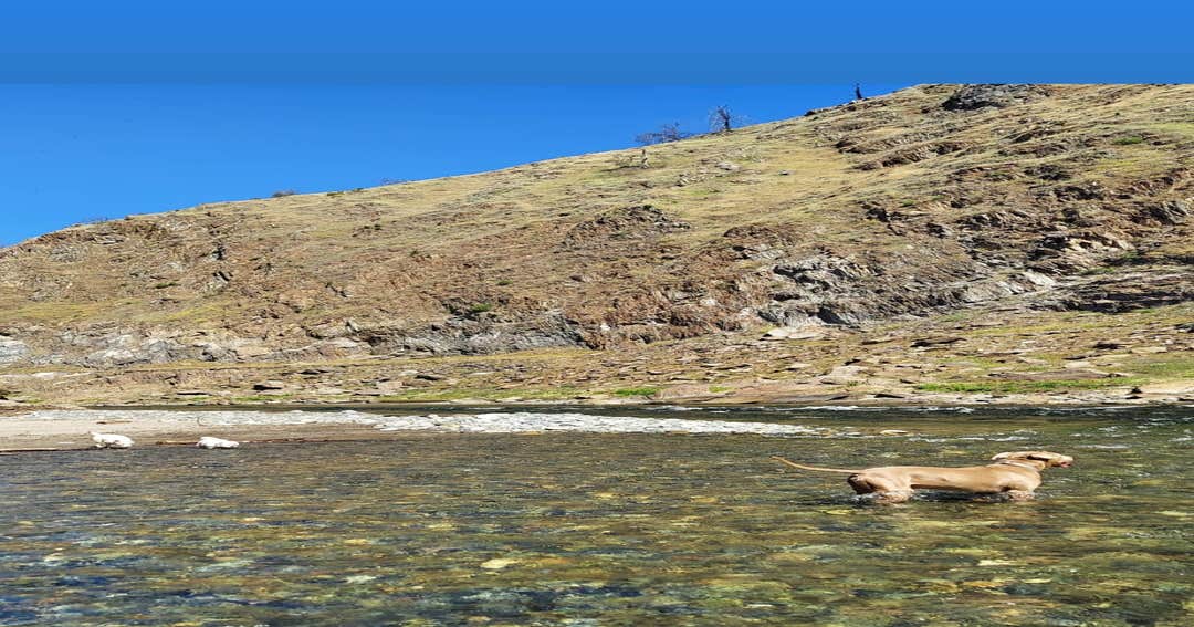 Bagby Camping and Recreation | Mariposa, CA