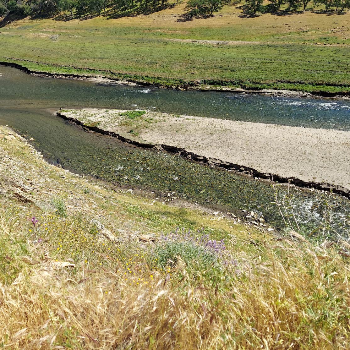 Bagby Camping and Recreation Camping | The Dyrt