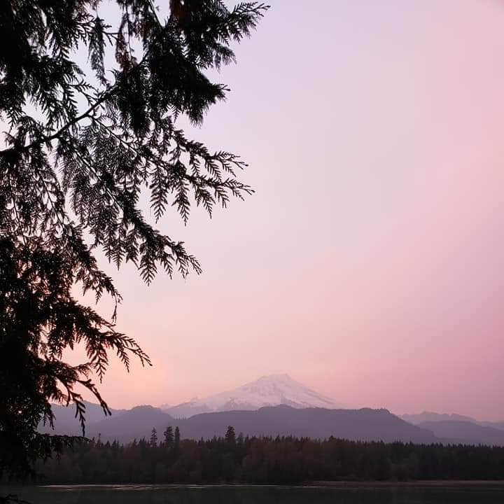 Anderson Point Campsite | Concrete, Washington