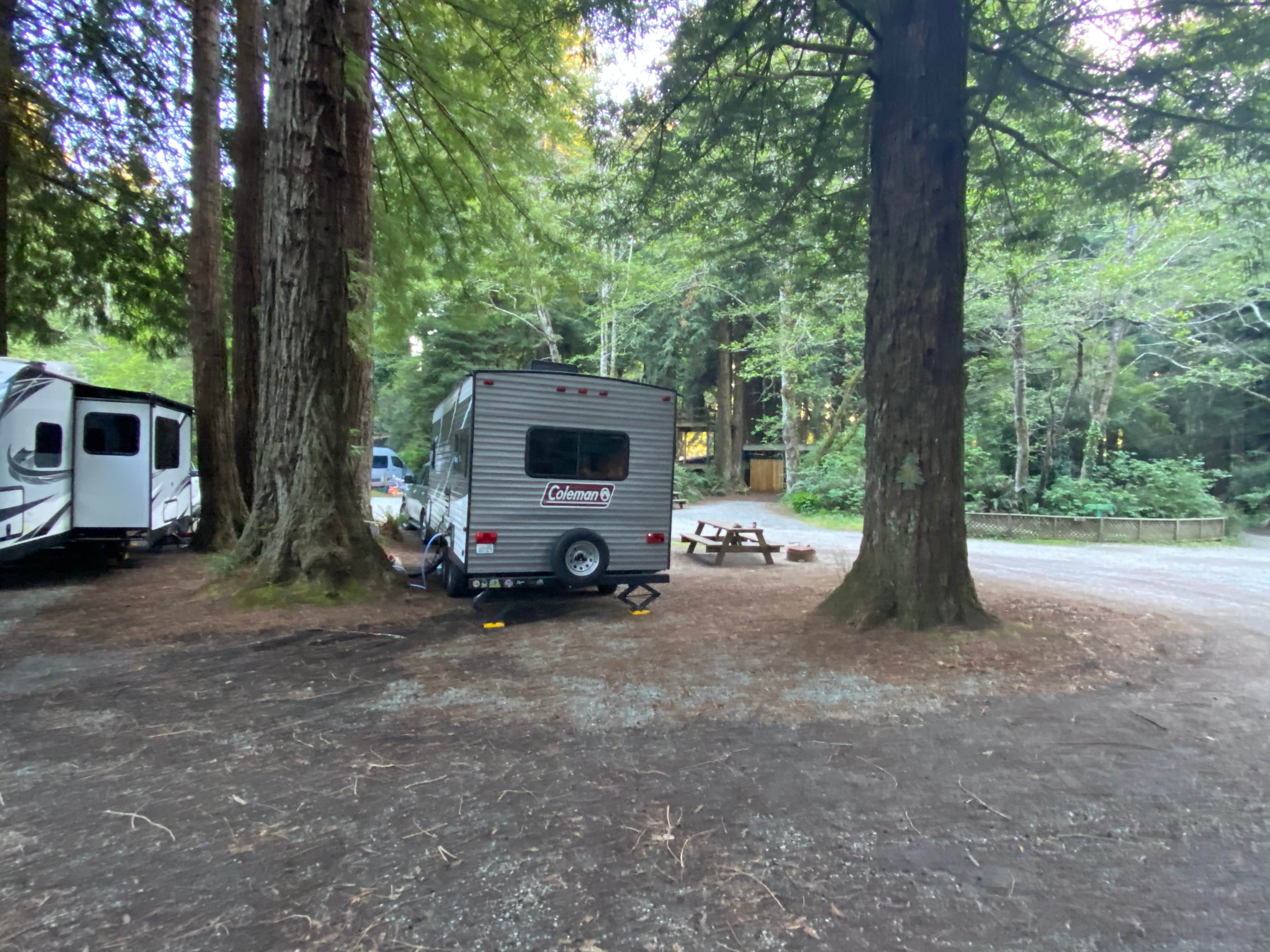 Emerald Forest Cabins & RV | The Dyrt