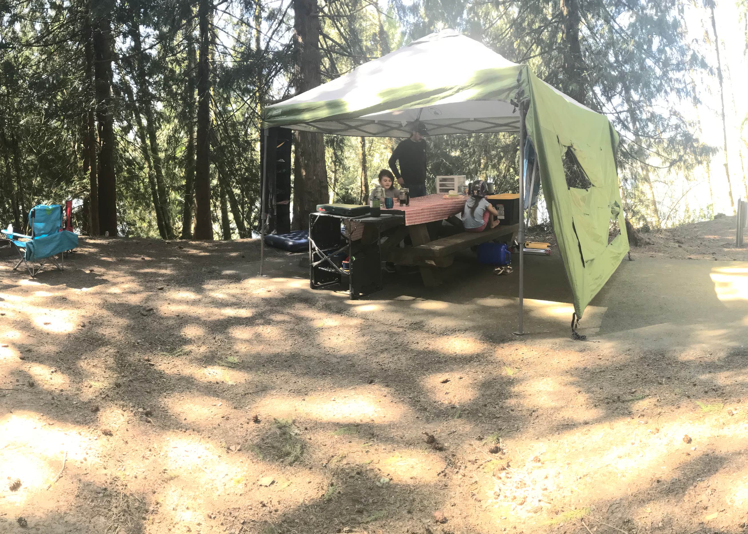 Mayfield Lake Park Camping | The Dyrt