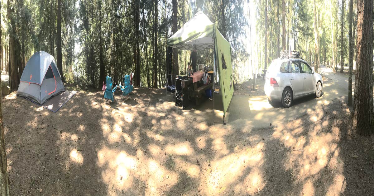 Mayfield Lake Park Camping | Mossyrock, Washington