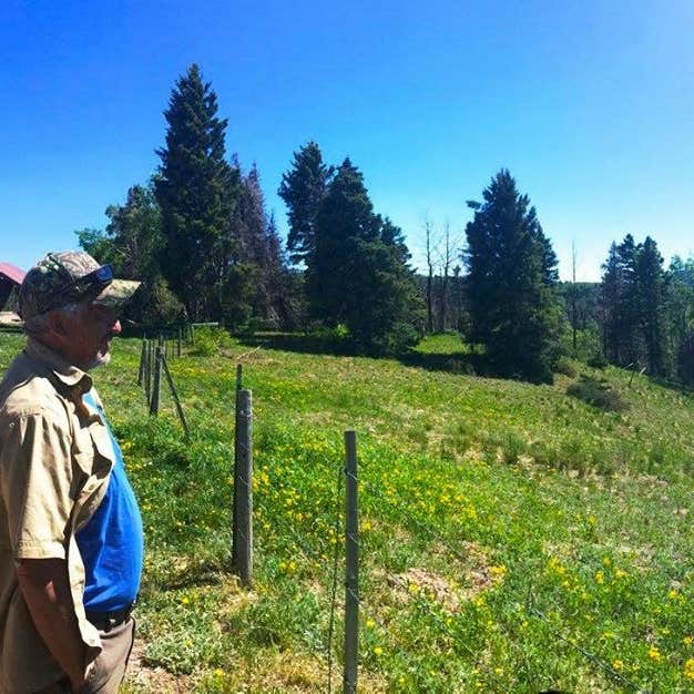 Hopewell Lake Campground Camping | The Dyrt