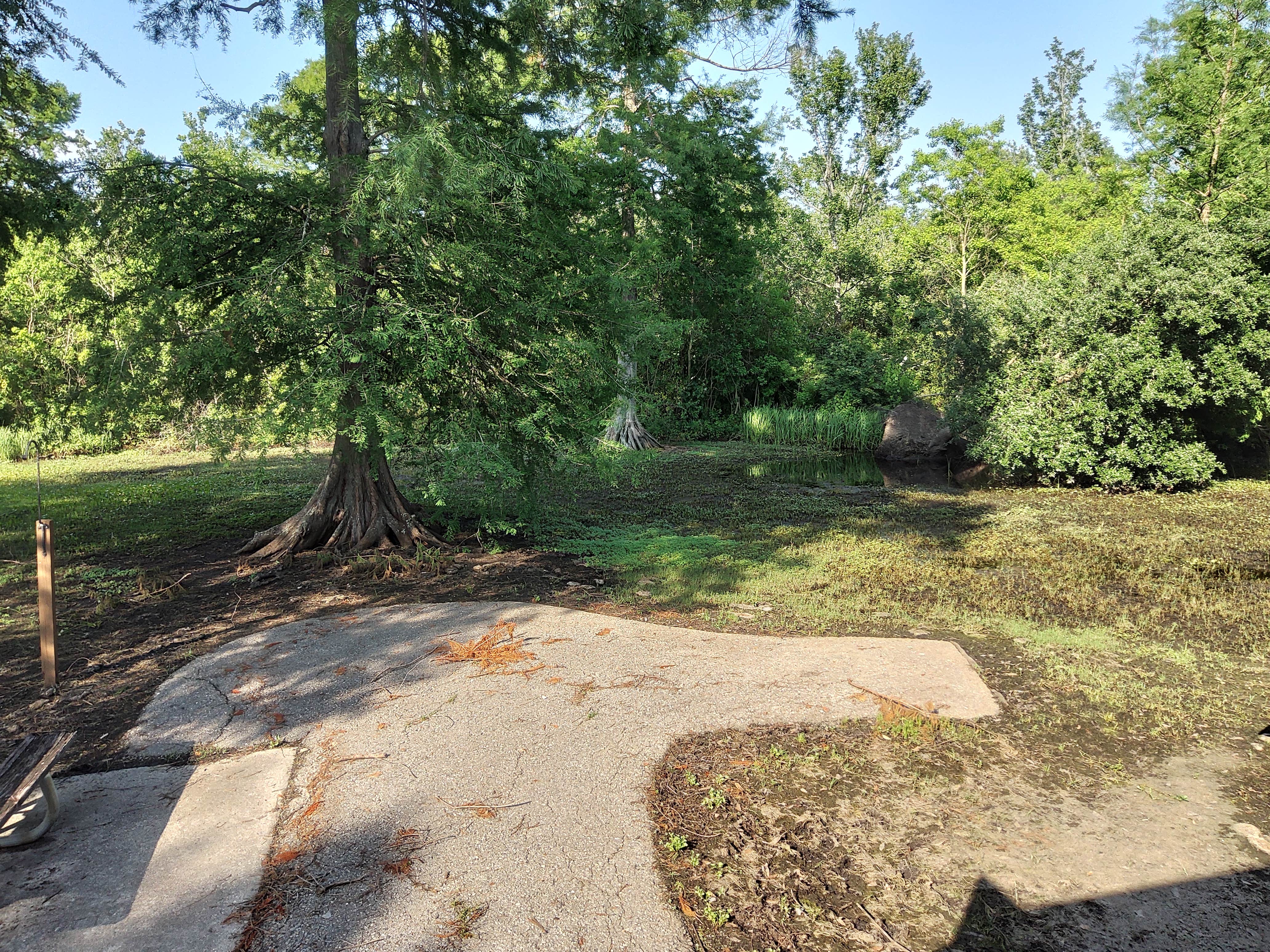 Bayou Segnette | The Dyrt