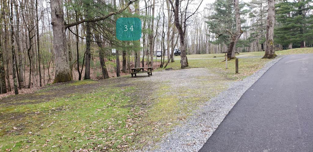 Babcock State Park Campground | Danese, WV