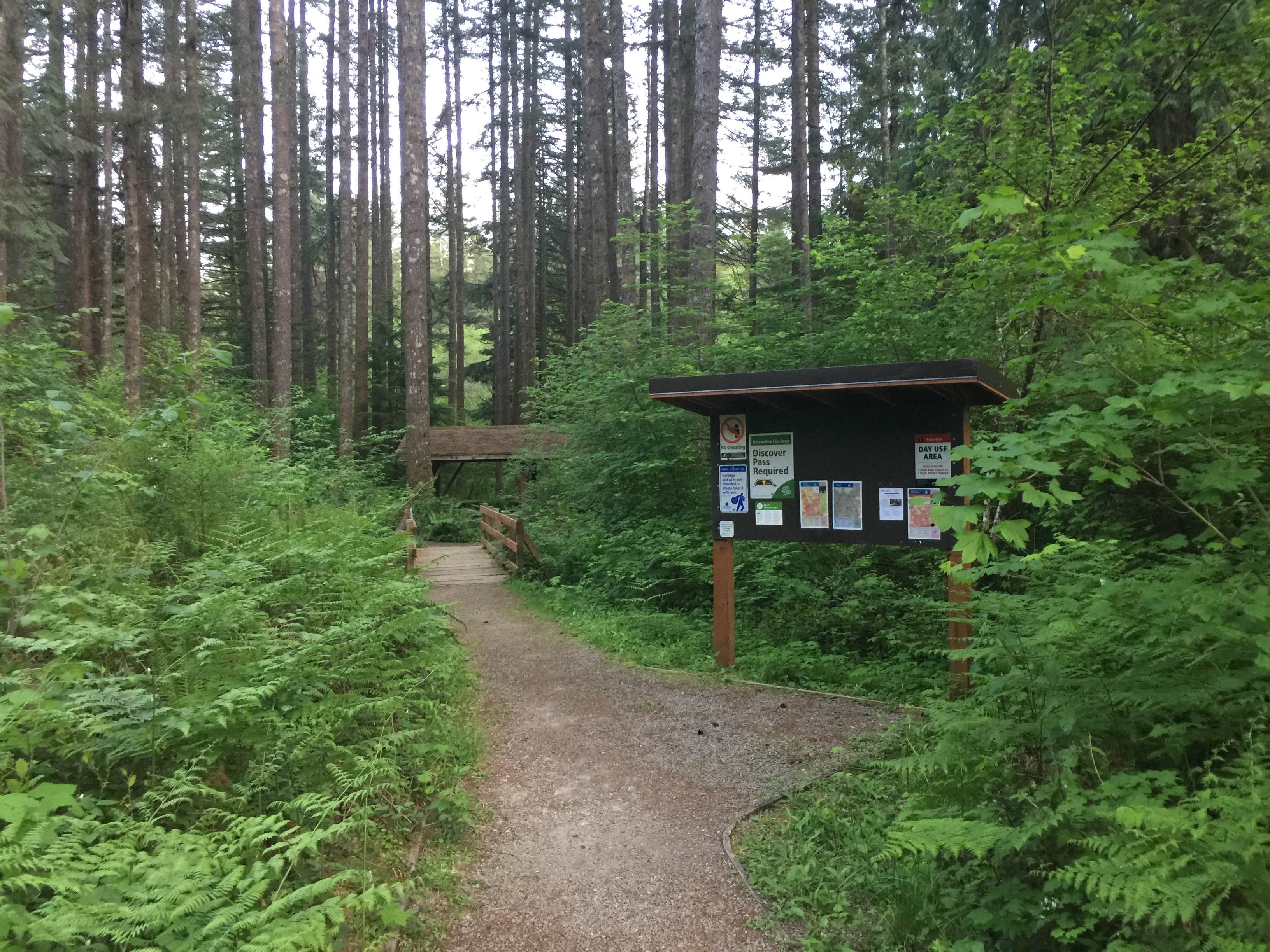Cold Creek Campground | Yacolt, WA