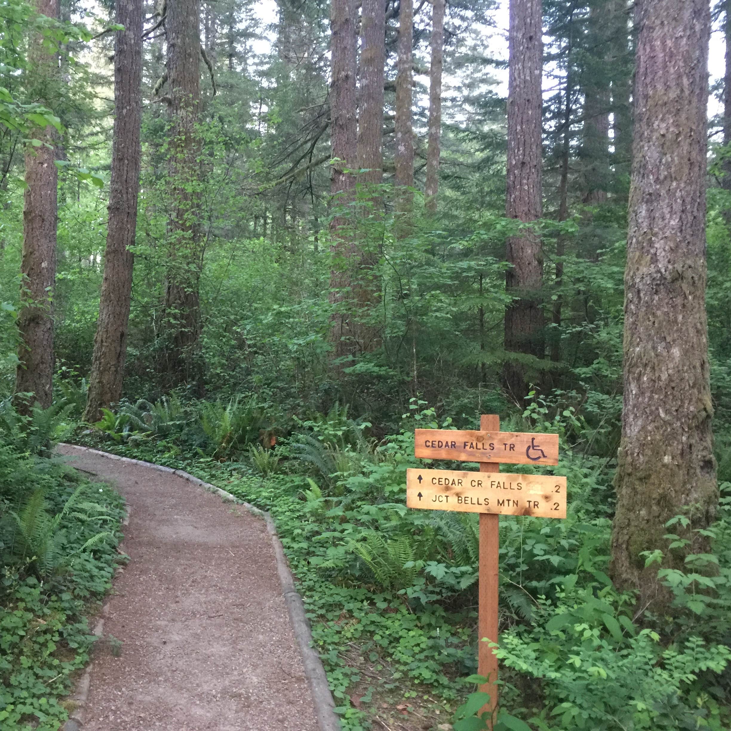 Cold Creek Campground Camping | The Dyrt