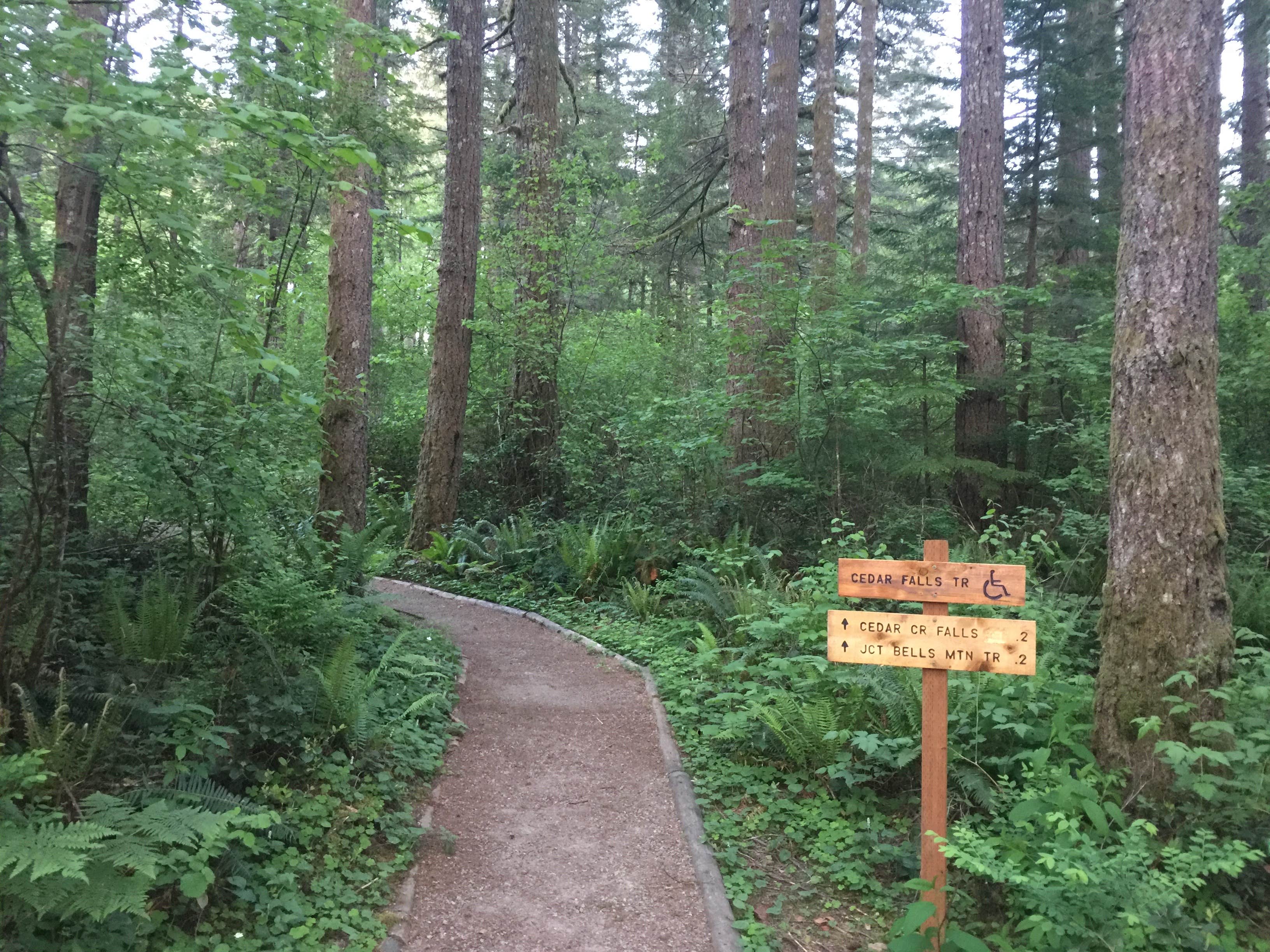 Cold Creek Campground | Yacolt, WA