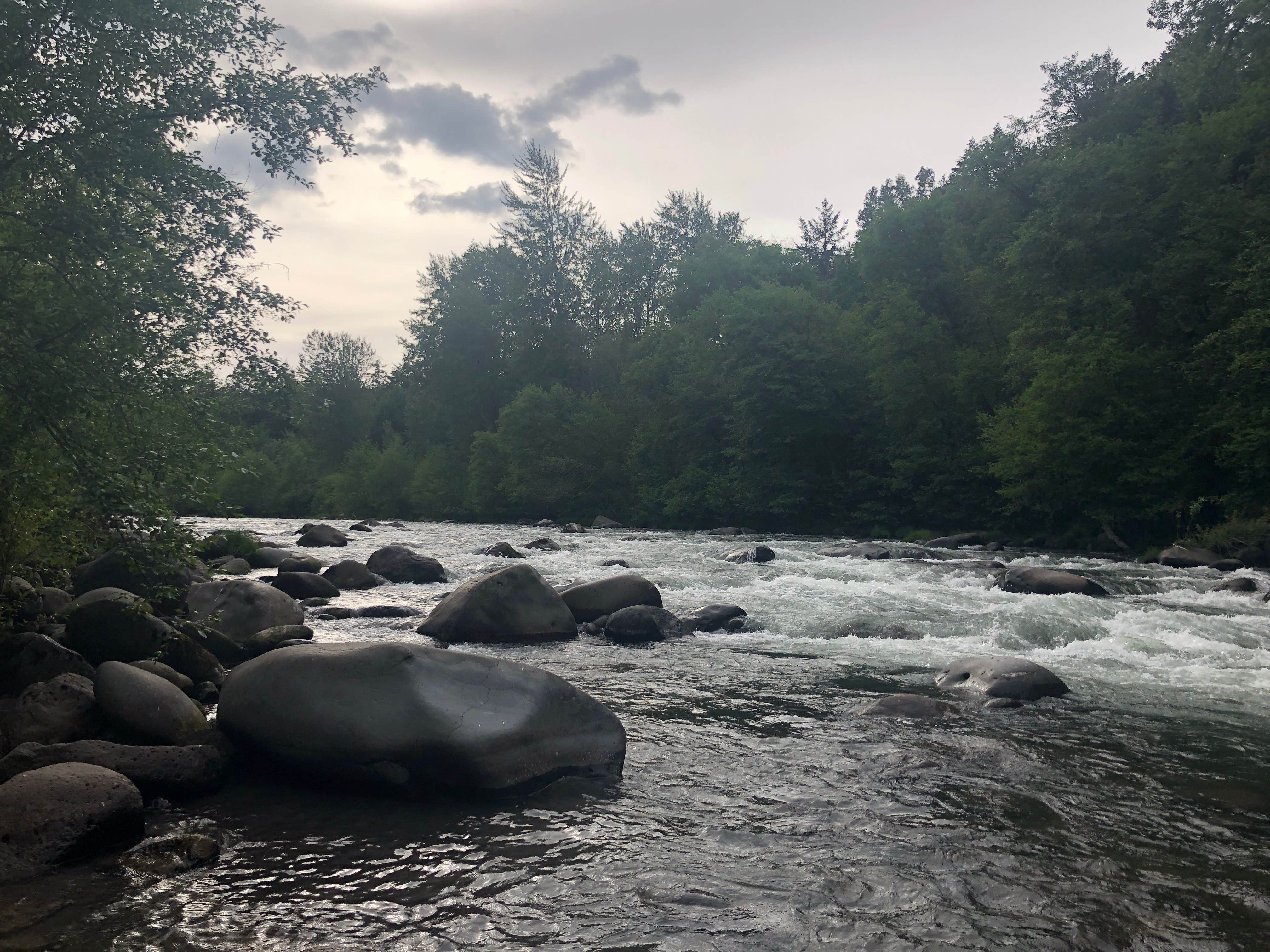 Tucker Park Campground | Hood River, OR