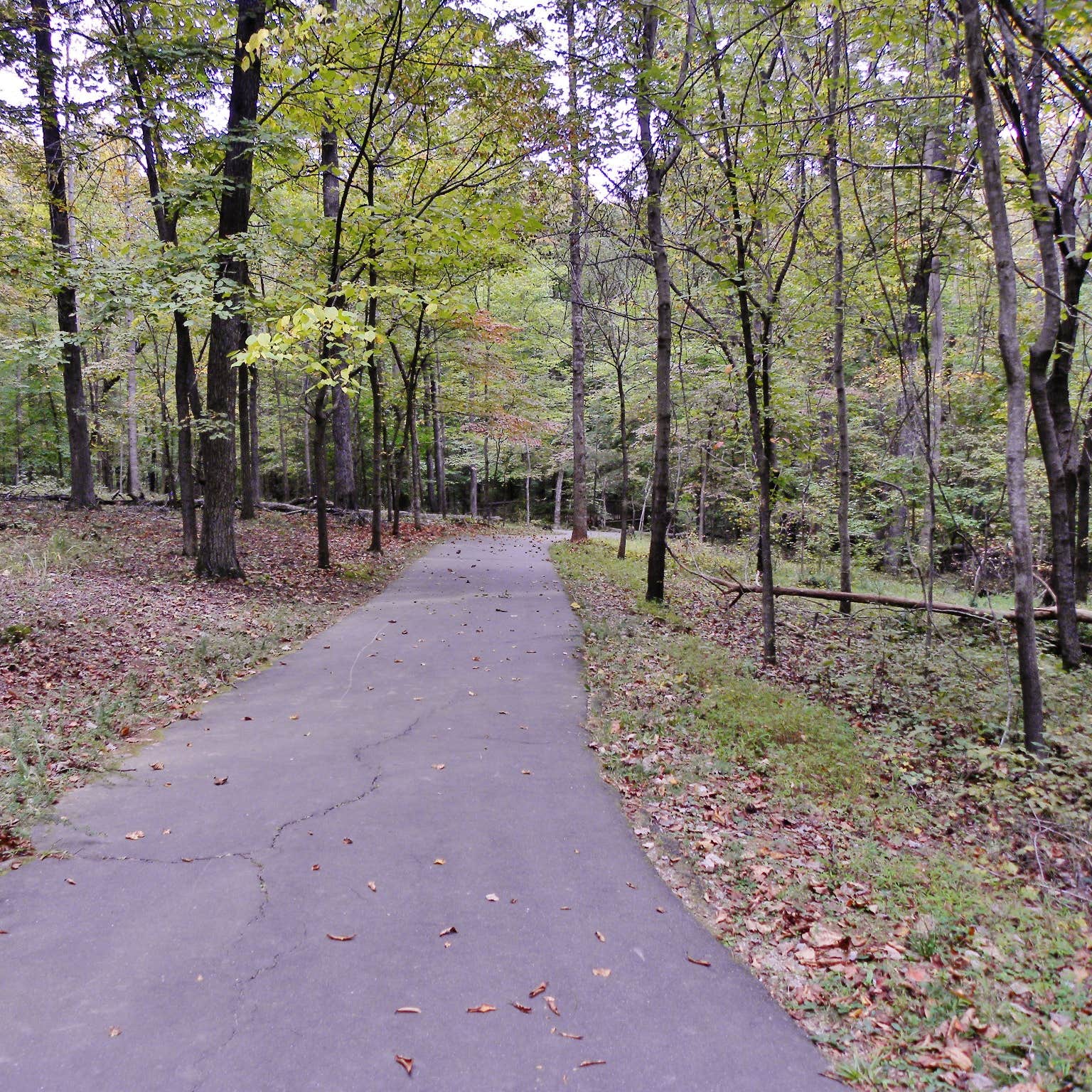 William B. Umstead State Park Camping | The Dyrt