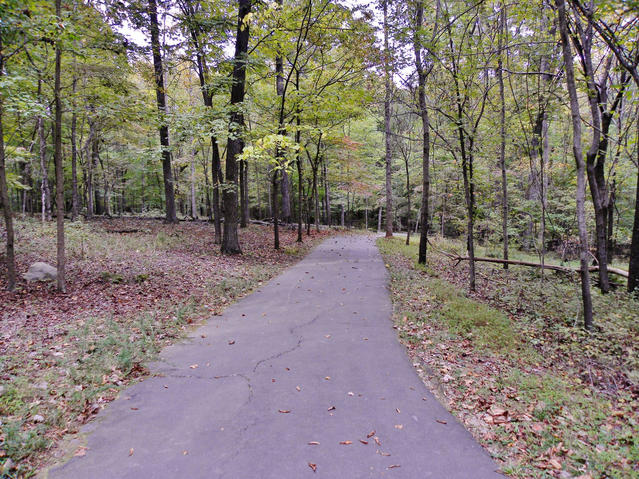 William B. Umstead State Park Camping | The Dyrt