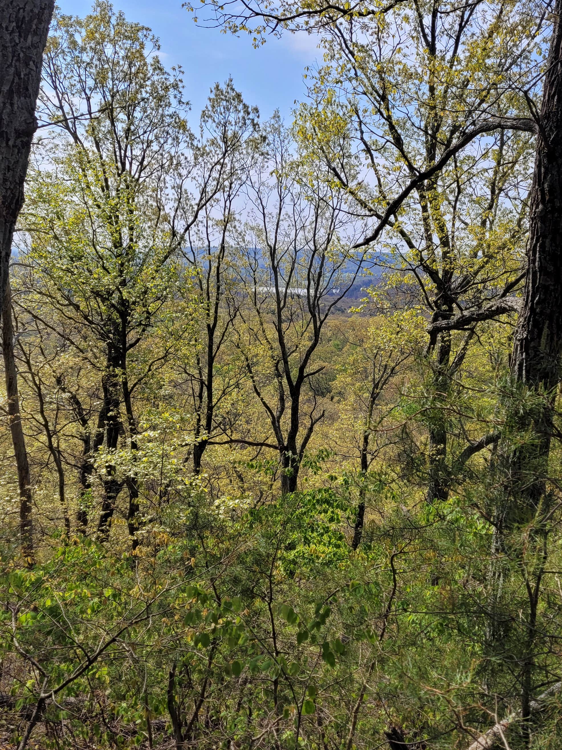 Deam Lake State Rec Area | The Dyrt