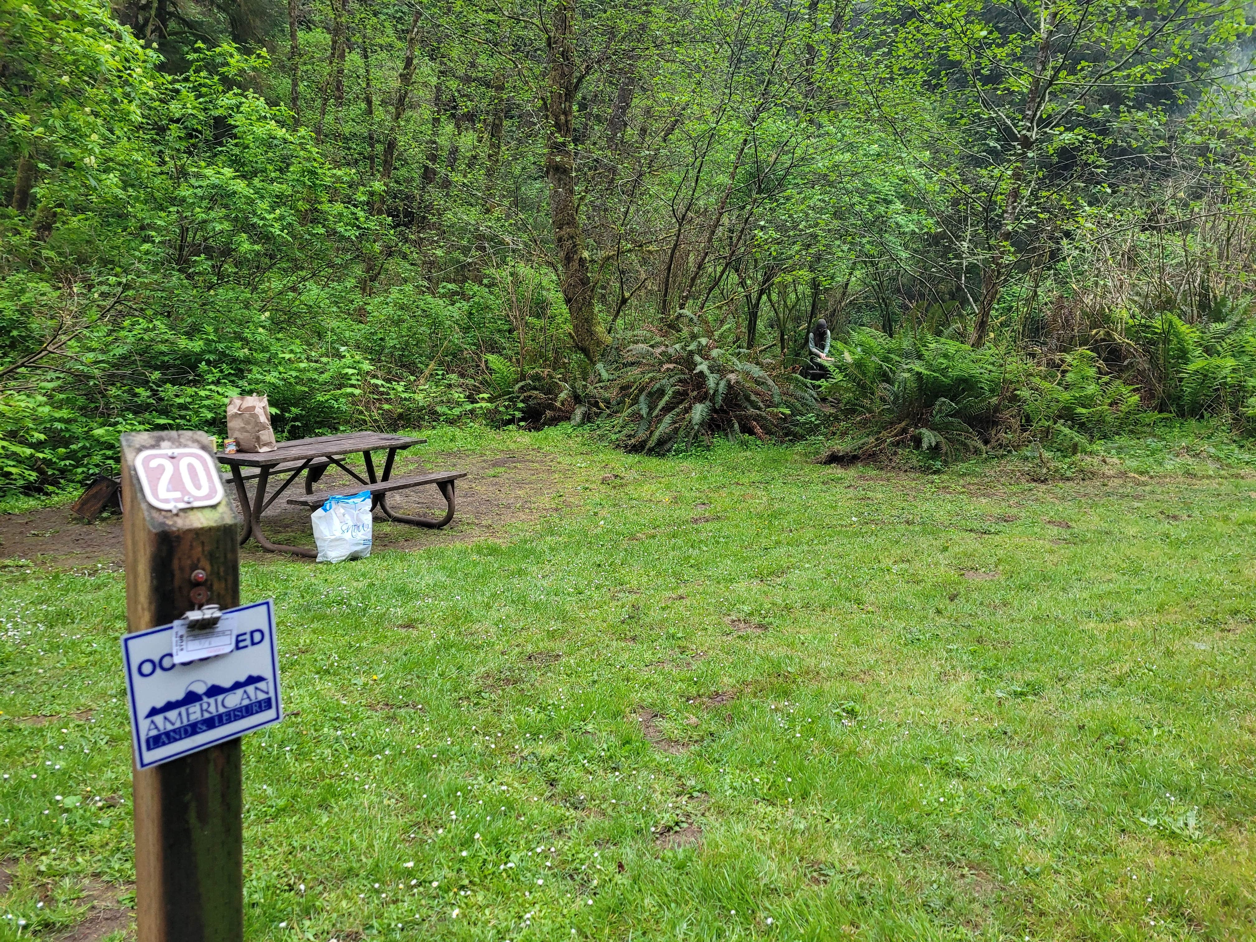 Tillicum Beach Campground | The Dyrt