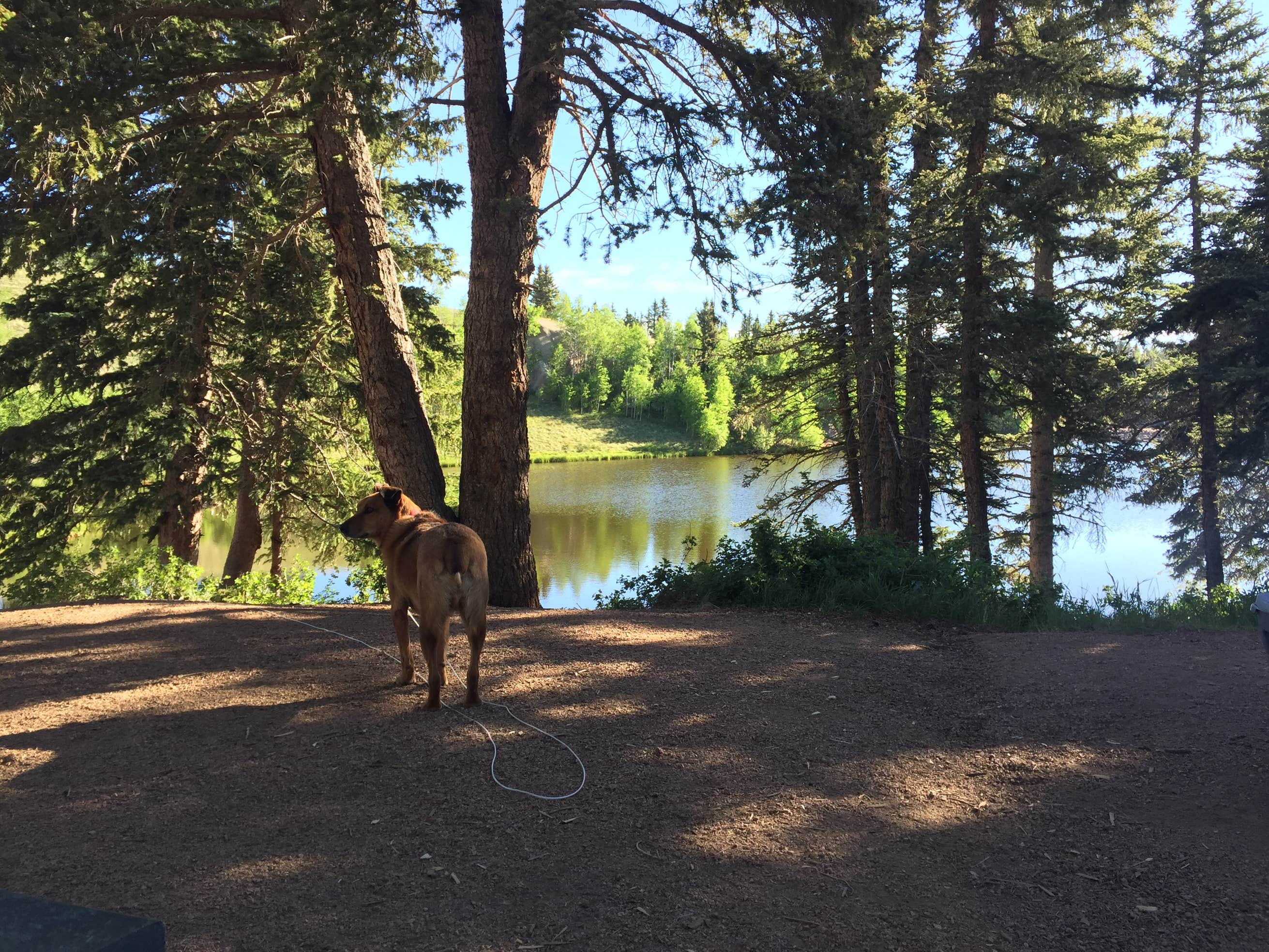 Military Park Farish Recreation Area Camping | The Dyrt