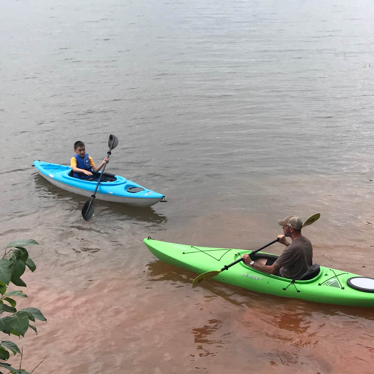 Hamilton Branch State Park Camping | The Dyrt