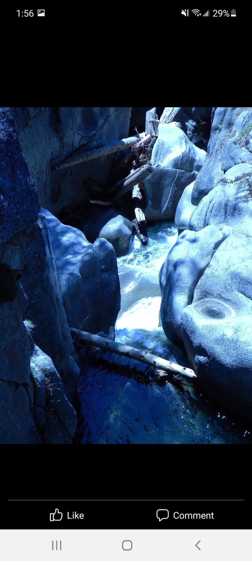 Clark Fork Campground Camping | The Dyrt