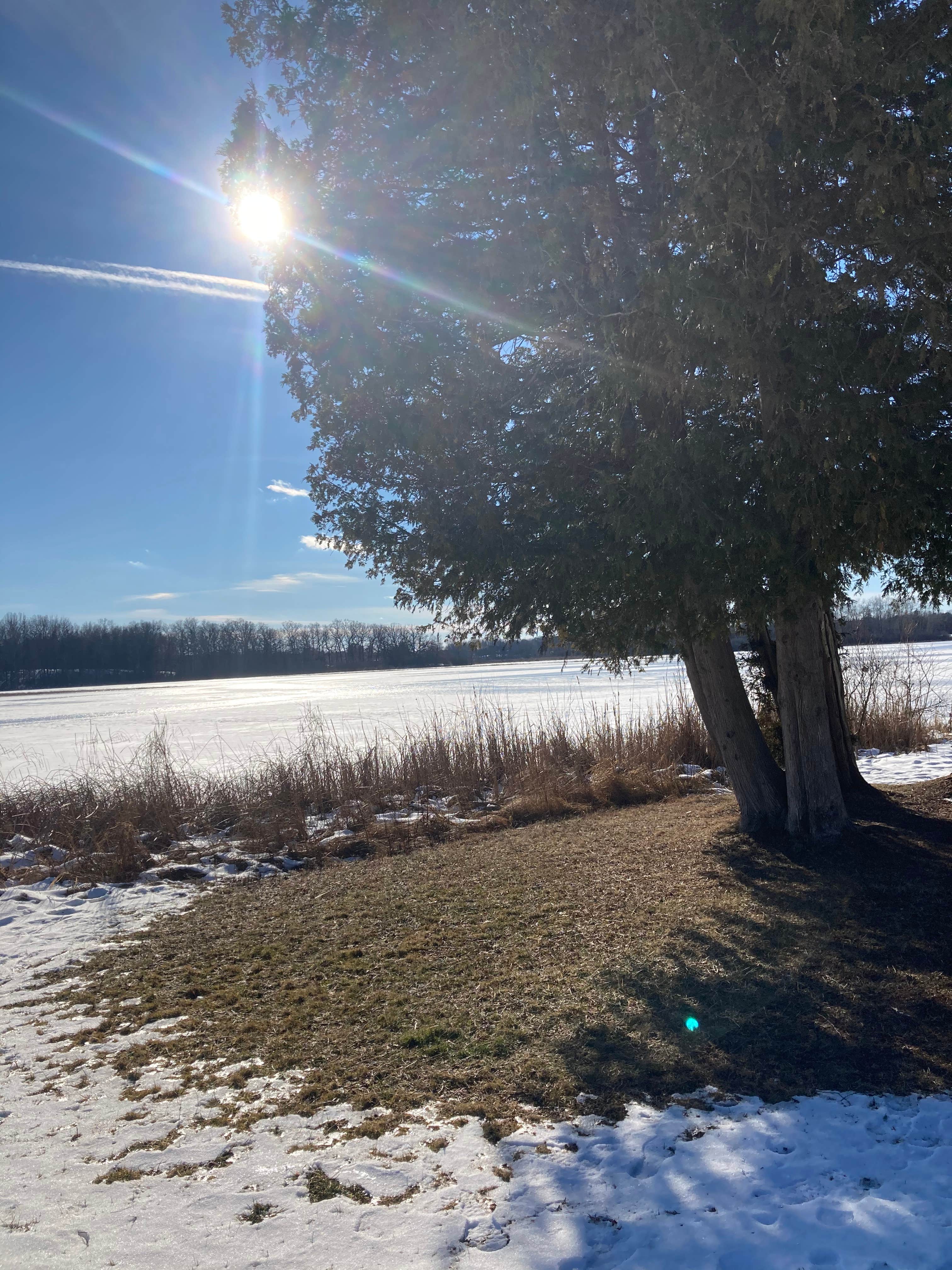 Brighton Bishop Lake SRA | The Dyrt