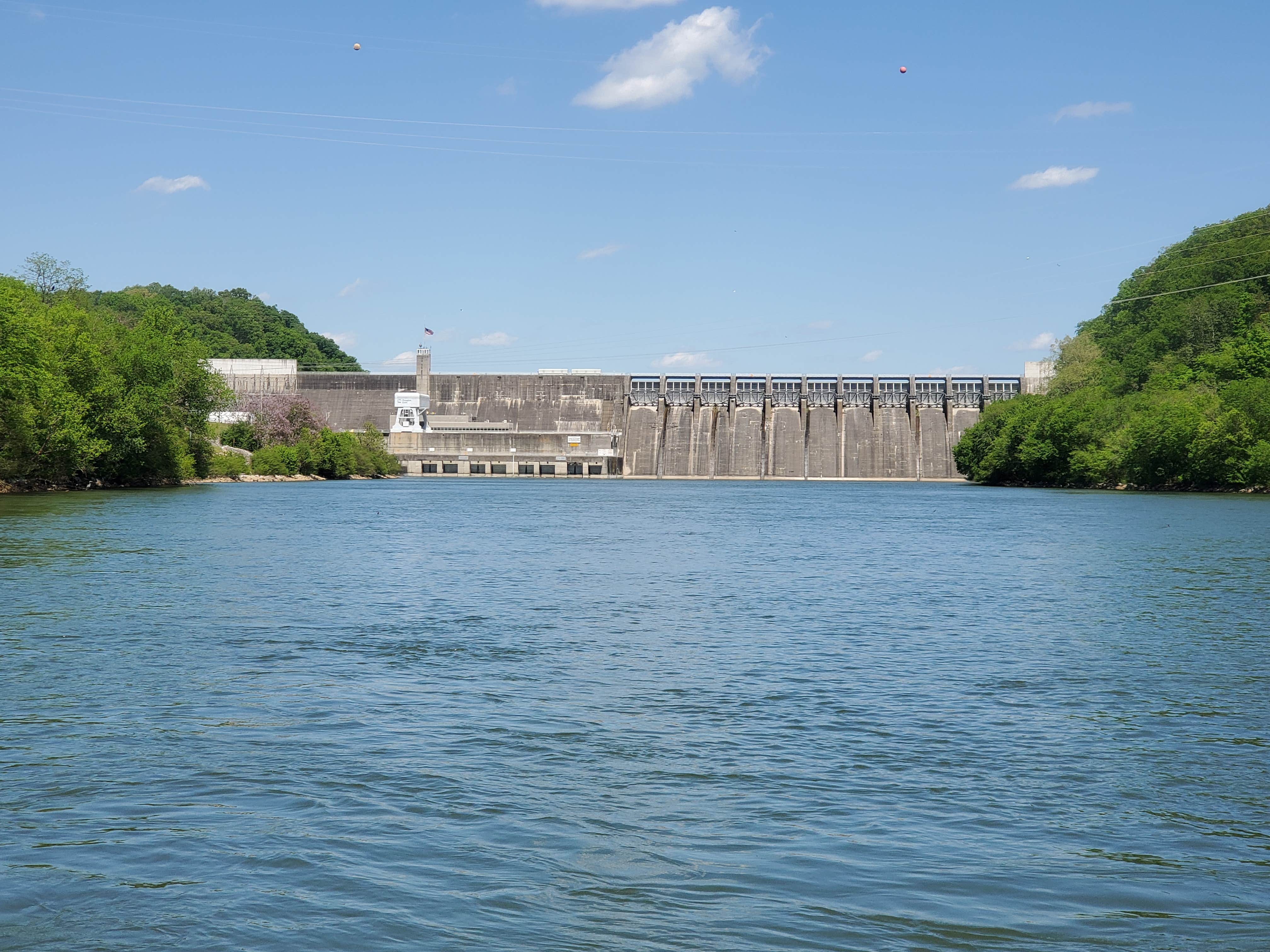 Douglas Dam Tailwater Campground | The Dyrt