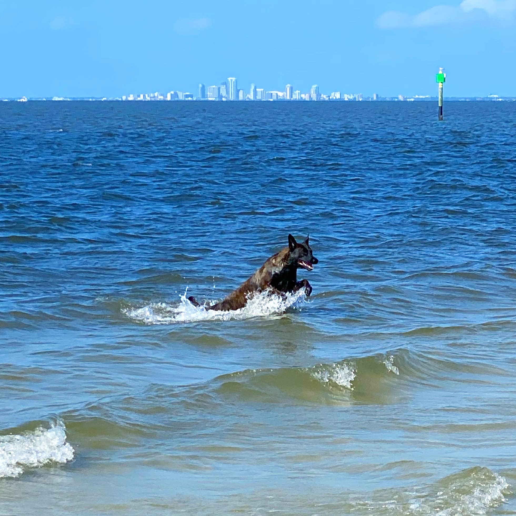 MacDill AFB FamCamp Camping | The Dyrt