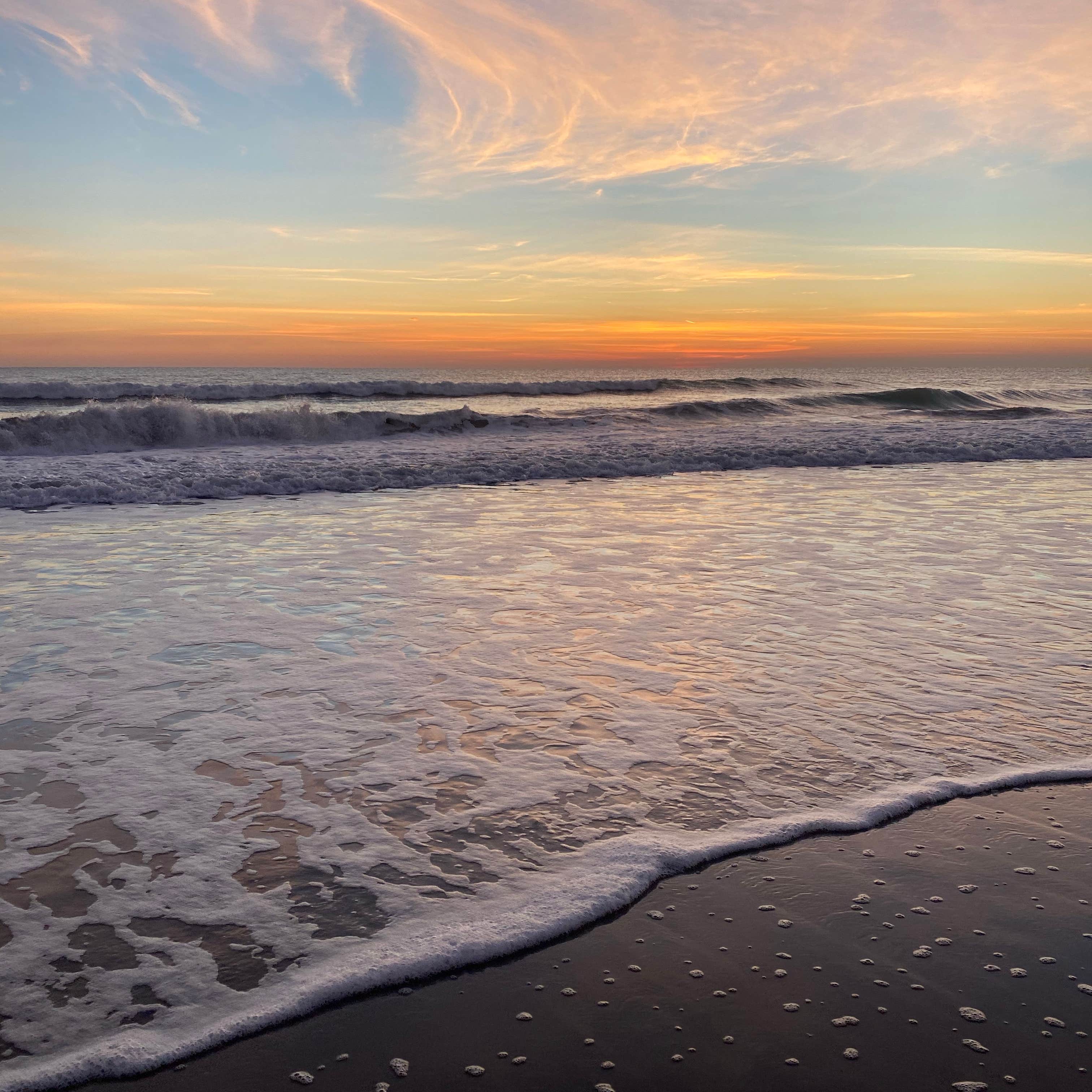 MacDill AFB FamCamp Camping | The Dyrt