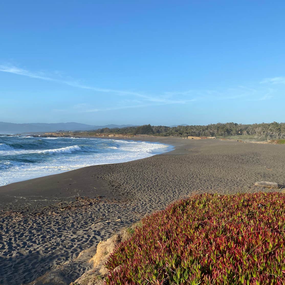 Cleone Campground | Fort Bragg, California
